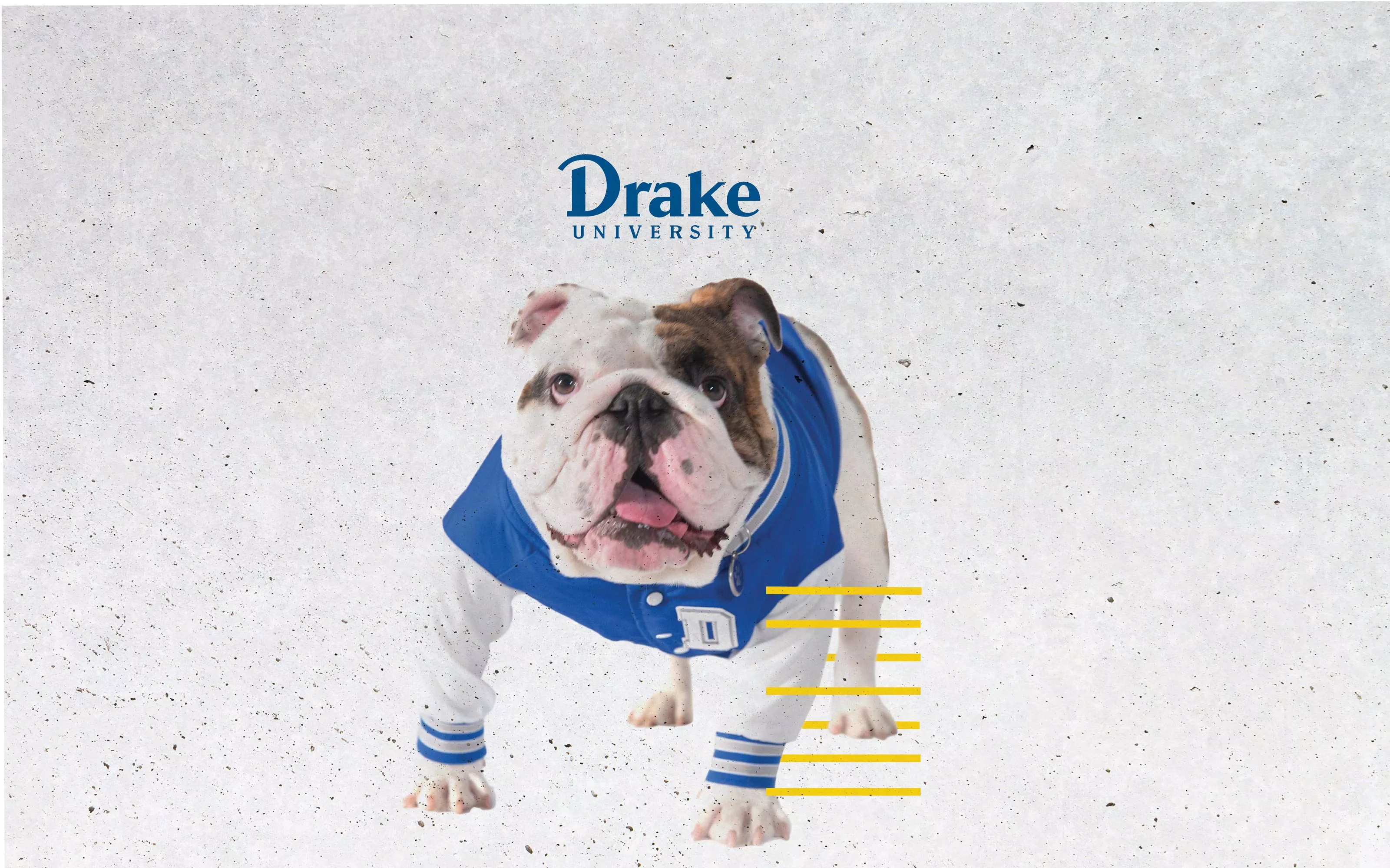 Drake Bulldogs Wallpapers - Wallpaper Cave