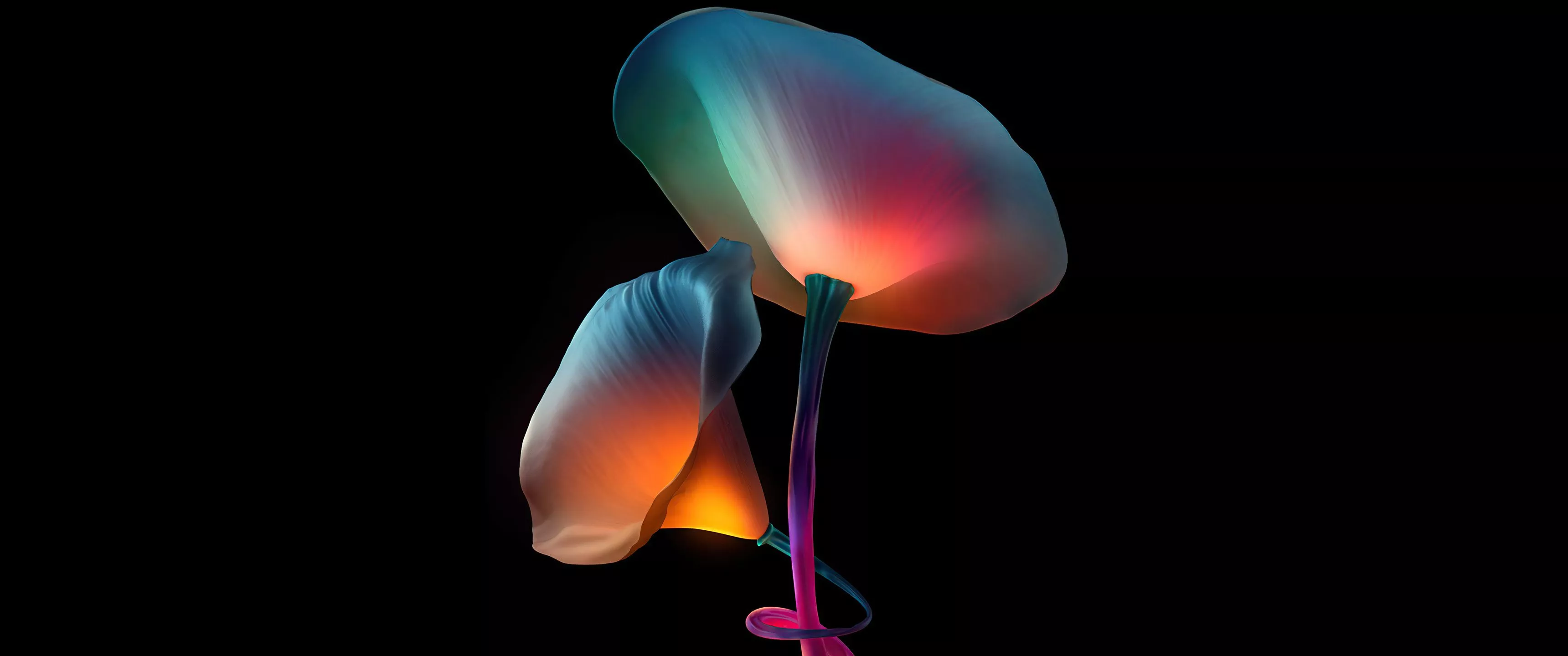 Ultrawide Oled Wallpapers - Wallpaper Cave