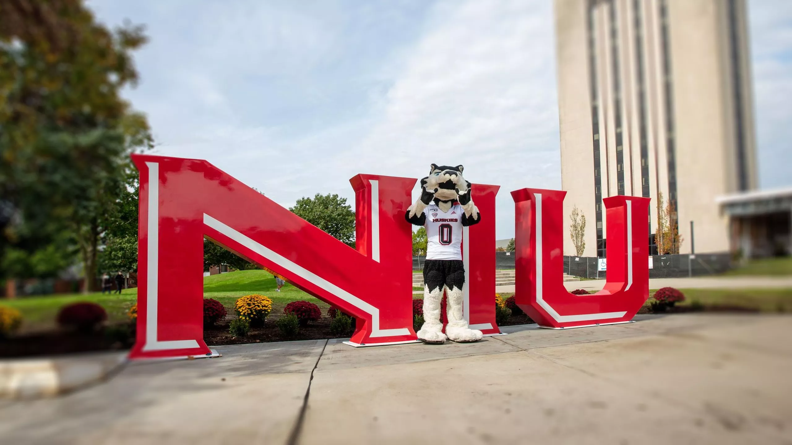 Northern Illinois Huskies Wallpapers - Wallpaper Cave