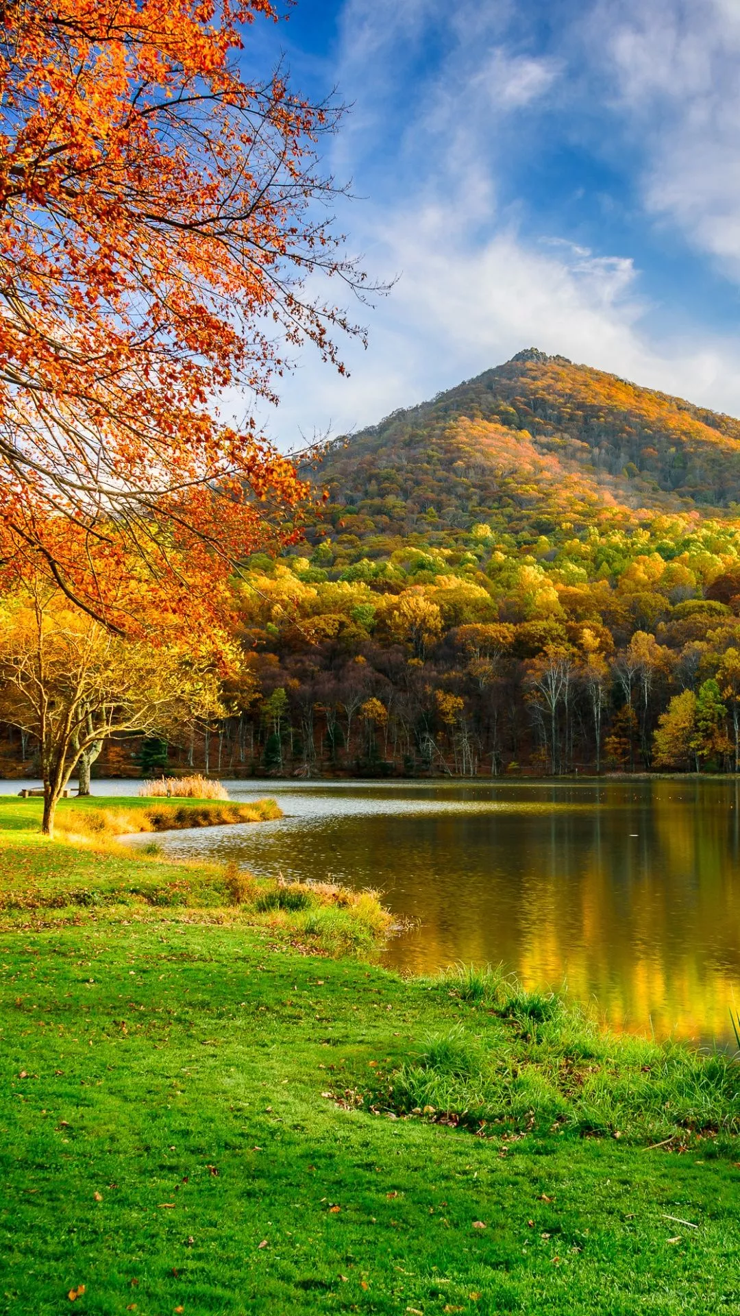 Phone River Wallpapers - Wallpaper Cave