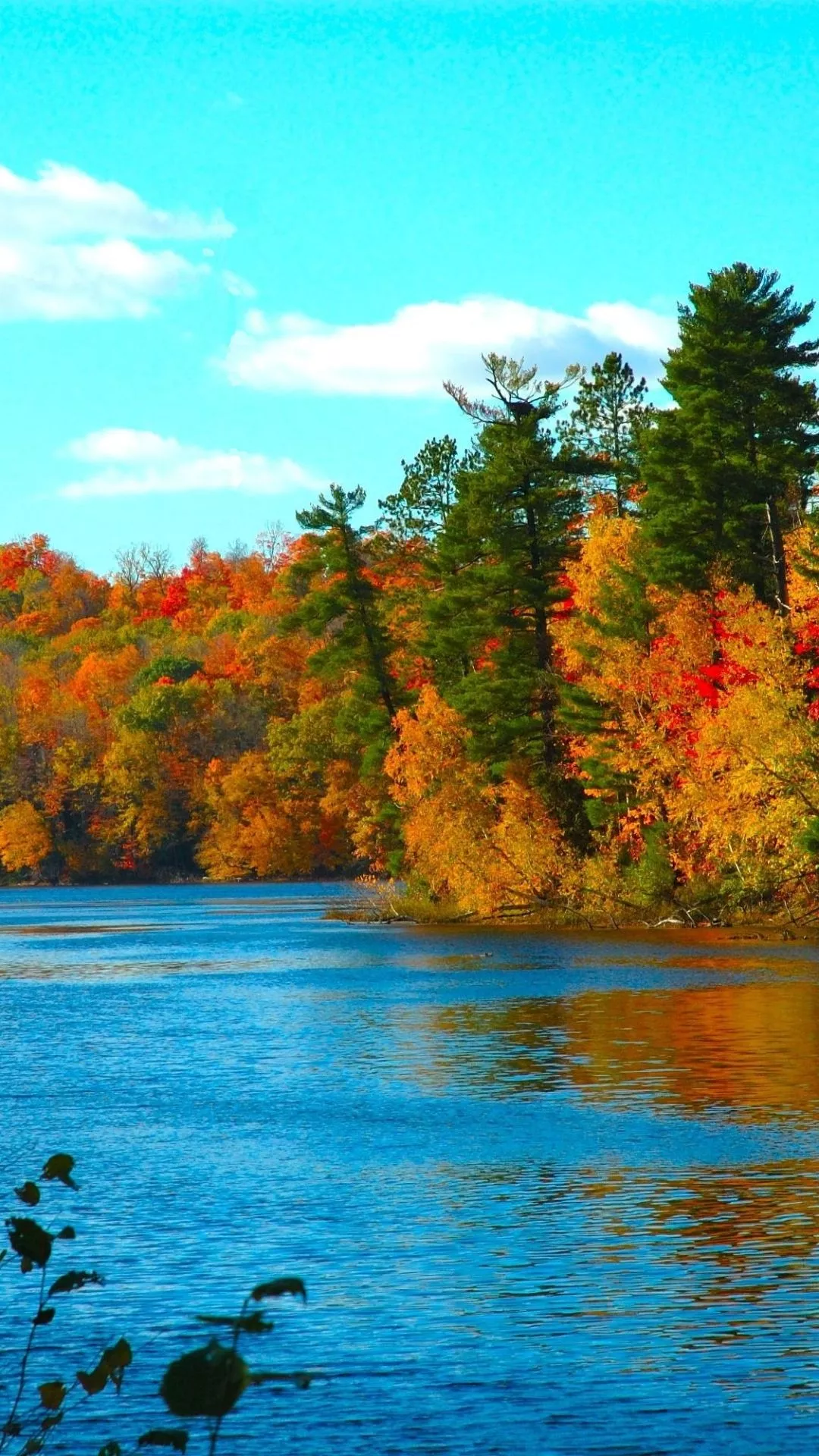 Phone River Wallpapers - Wallpaper Cave