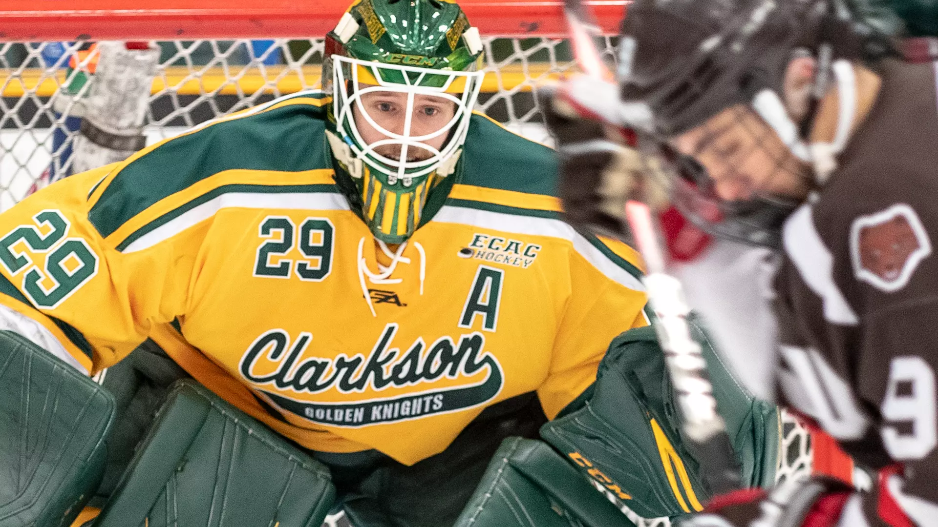 Clarkson Golden Knights Wallpapers - Wallpaper Cave