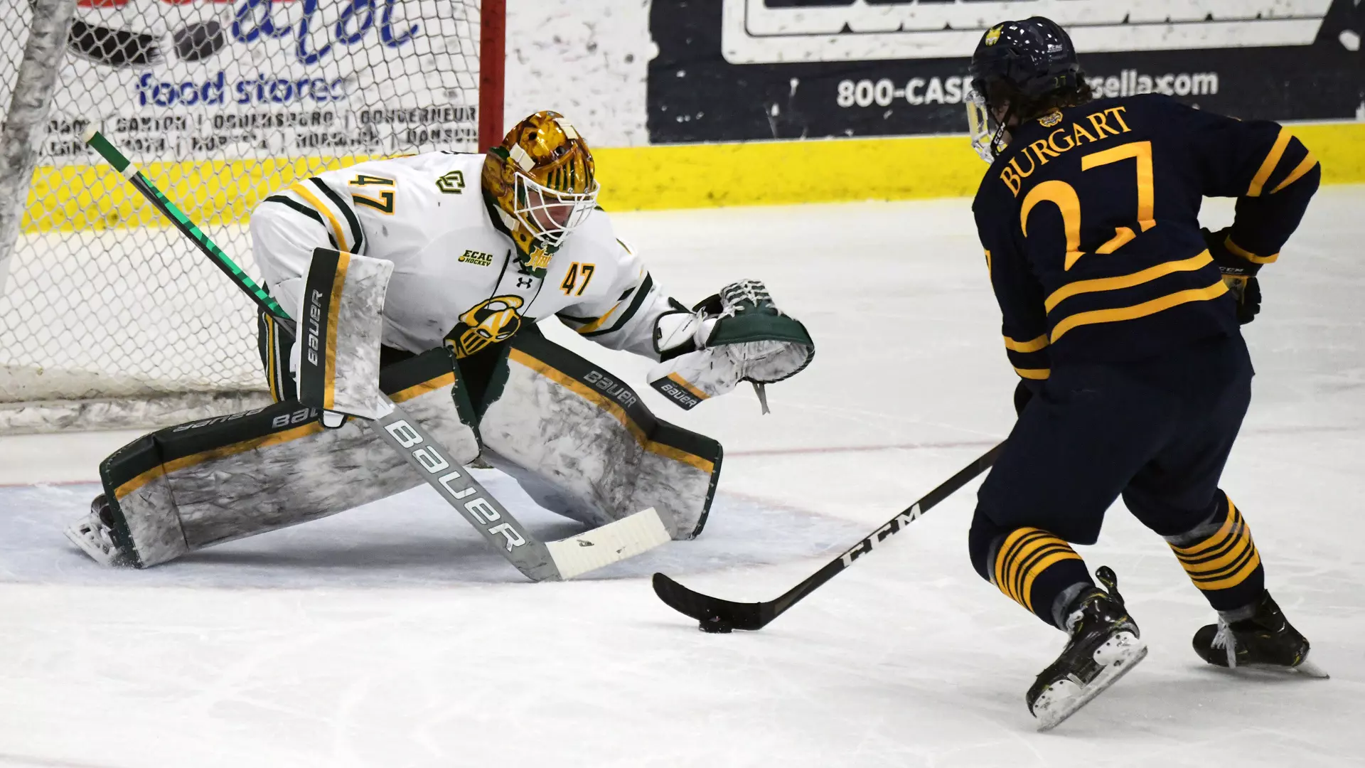 Clarkson Golden Knights Wallpapers - Wallpaper Cave