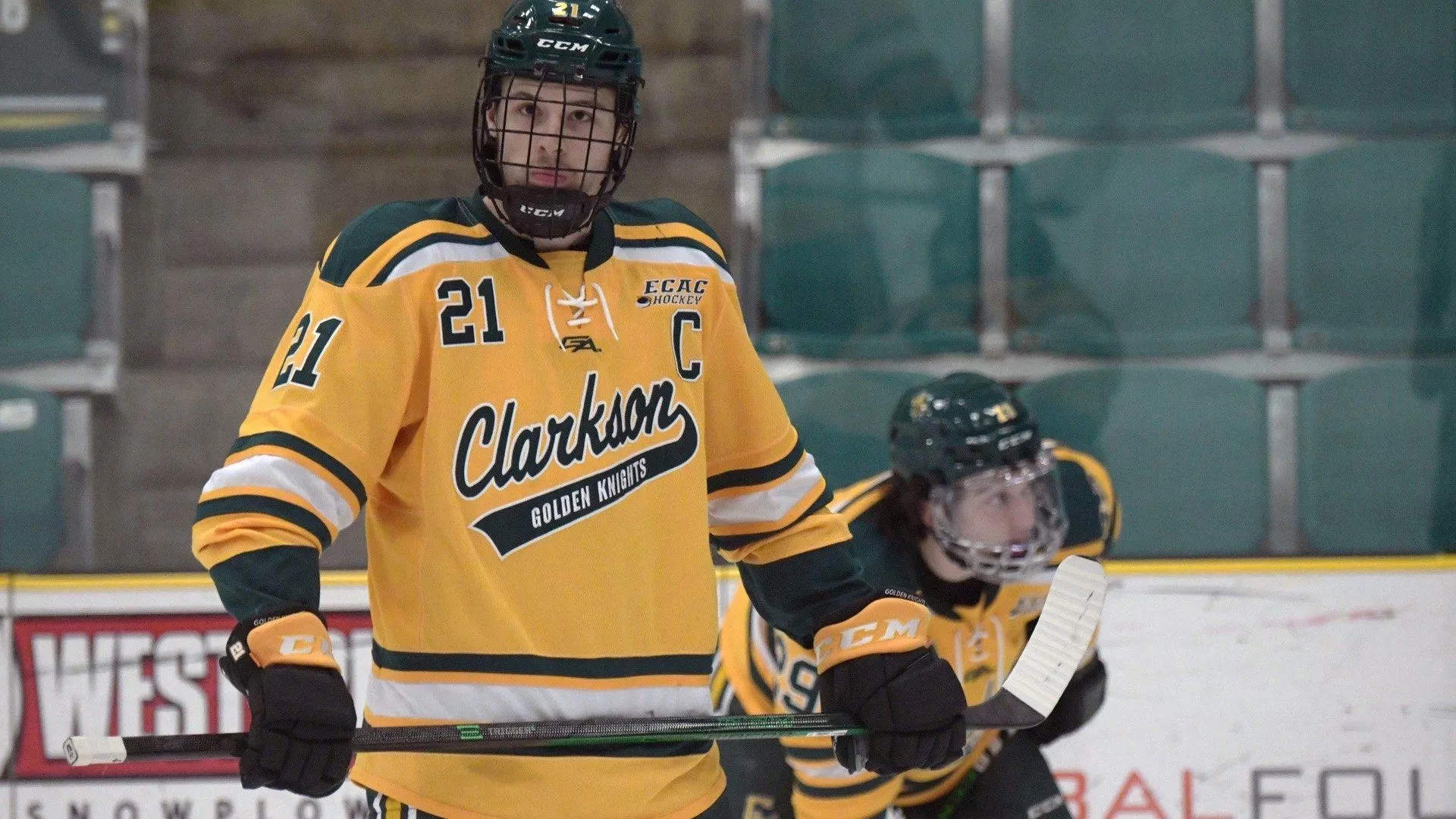 Clarkson Golden Knights Wallpapers - Wallpaper Cave