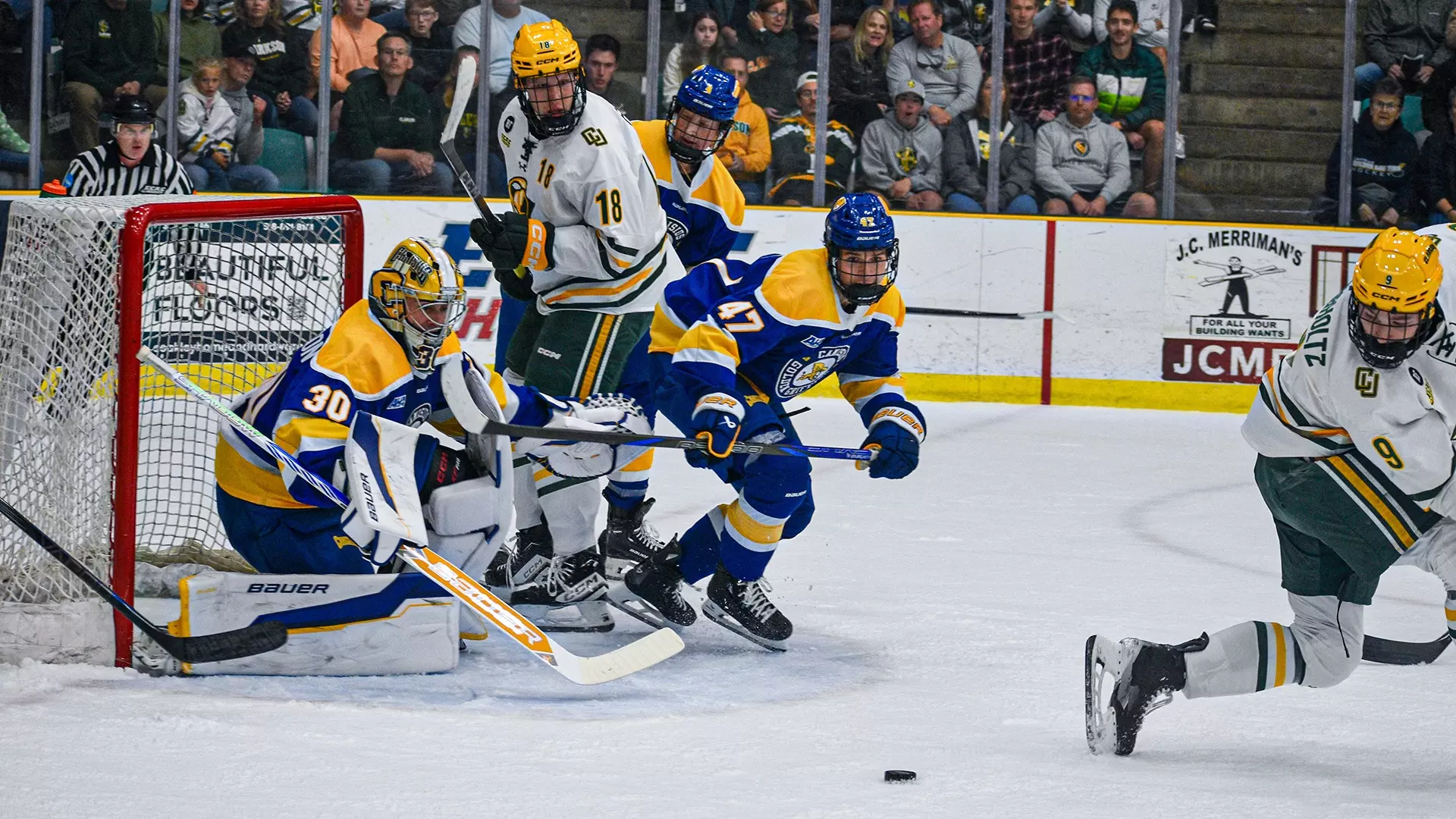 Clarkson Golden Knights Wallpapers - Wallpaper Cave