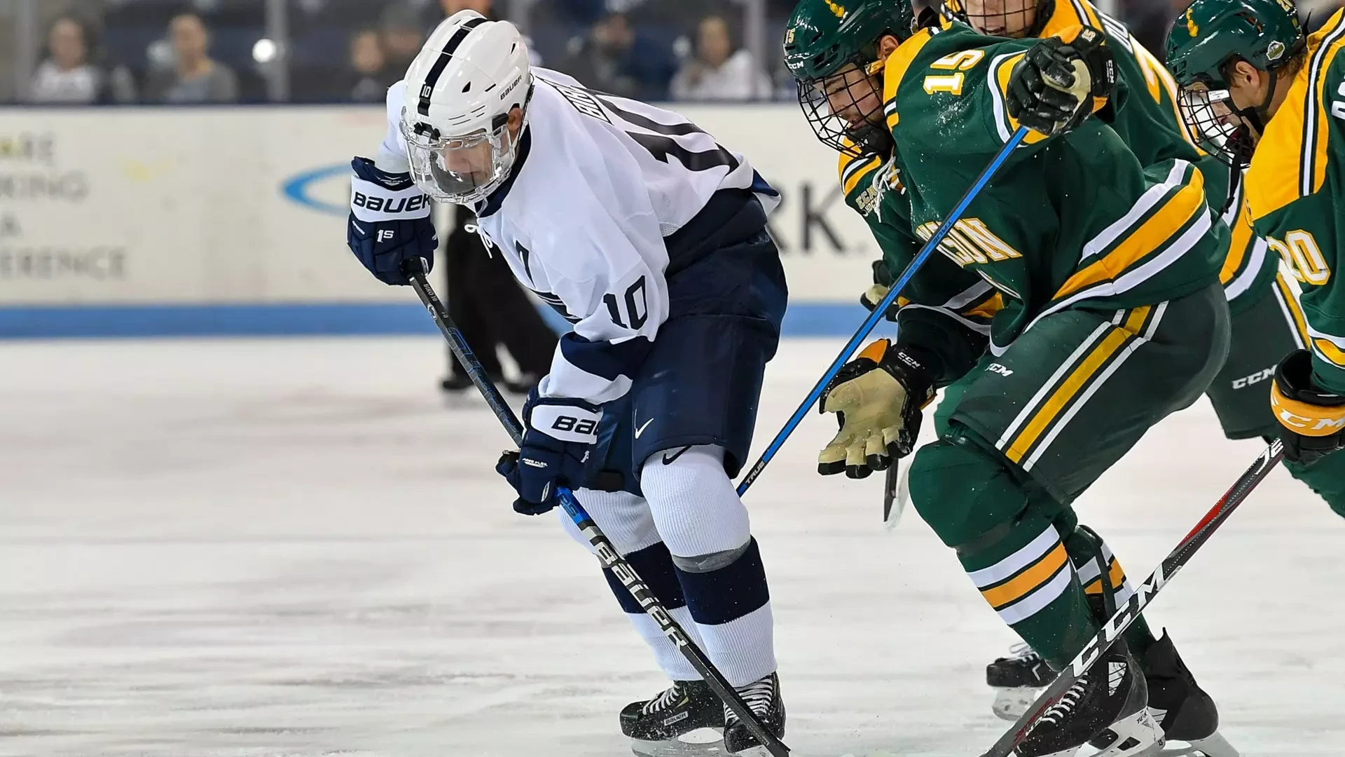 Clarkson Golden Knights Wallpapers - Wallpaper Cave