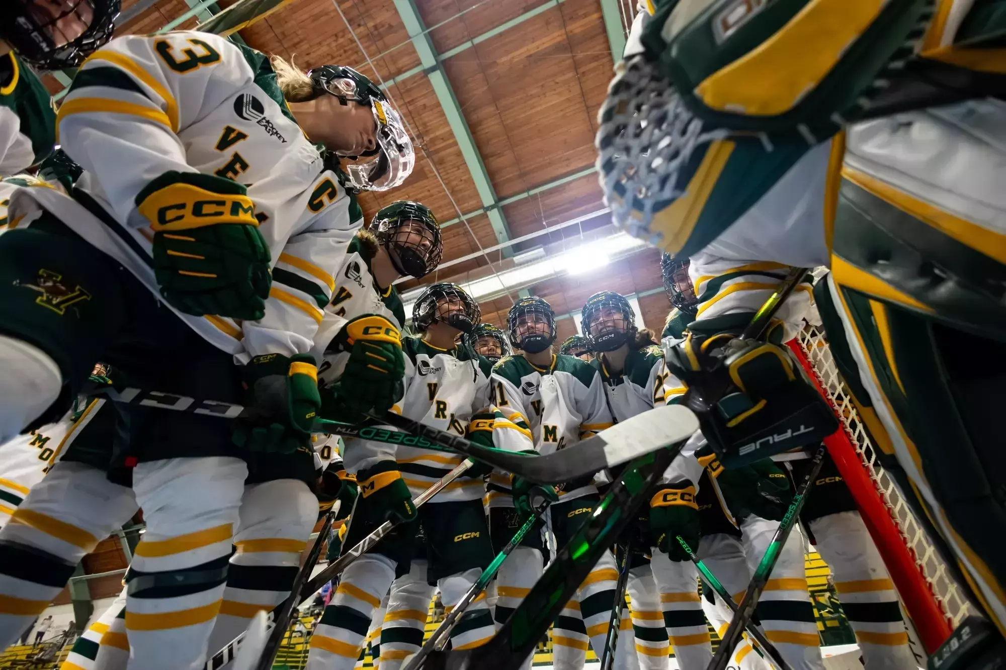 Clarkson Golden Knights Wallpapers - Wallpaper Cave