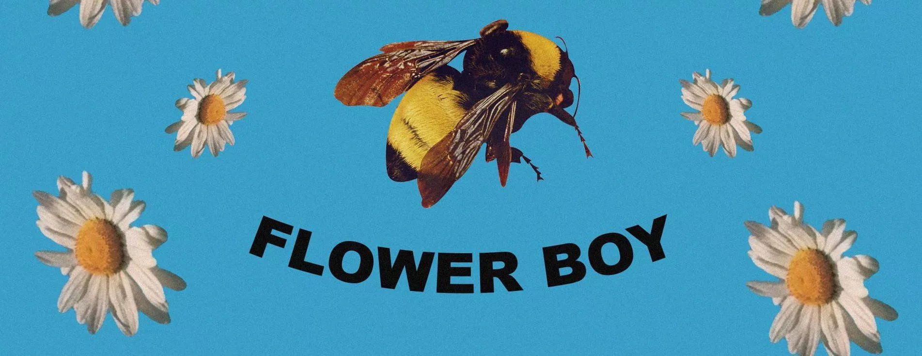 Flower Boy Cover Wallpapers - Wallpaper Cave