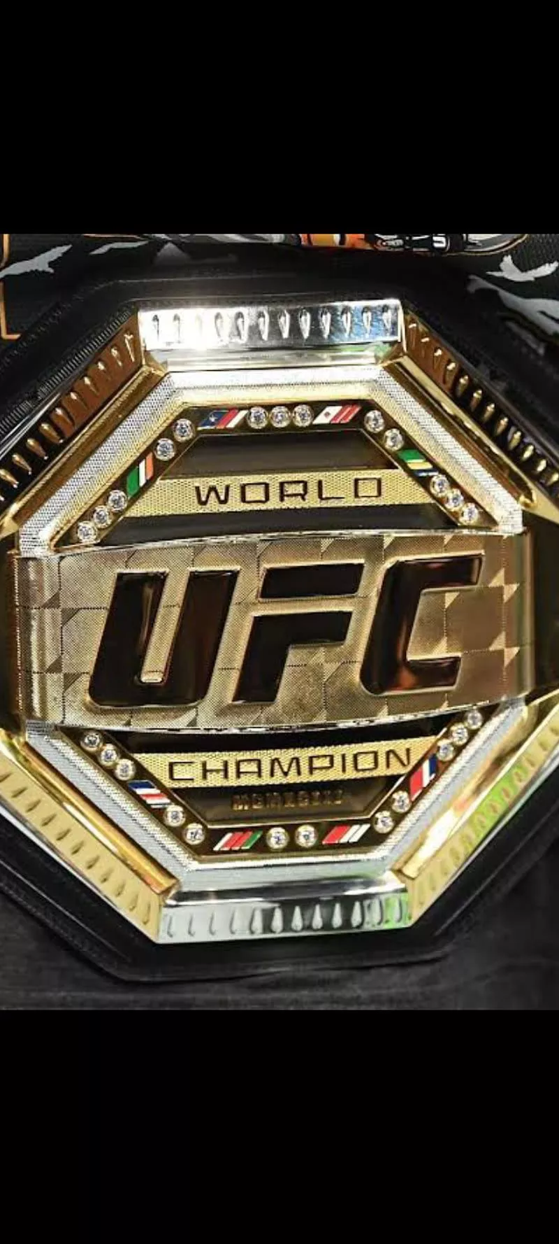 UFC Champion Wallpapers - Wallpaper Cave
