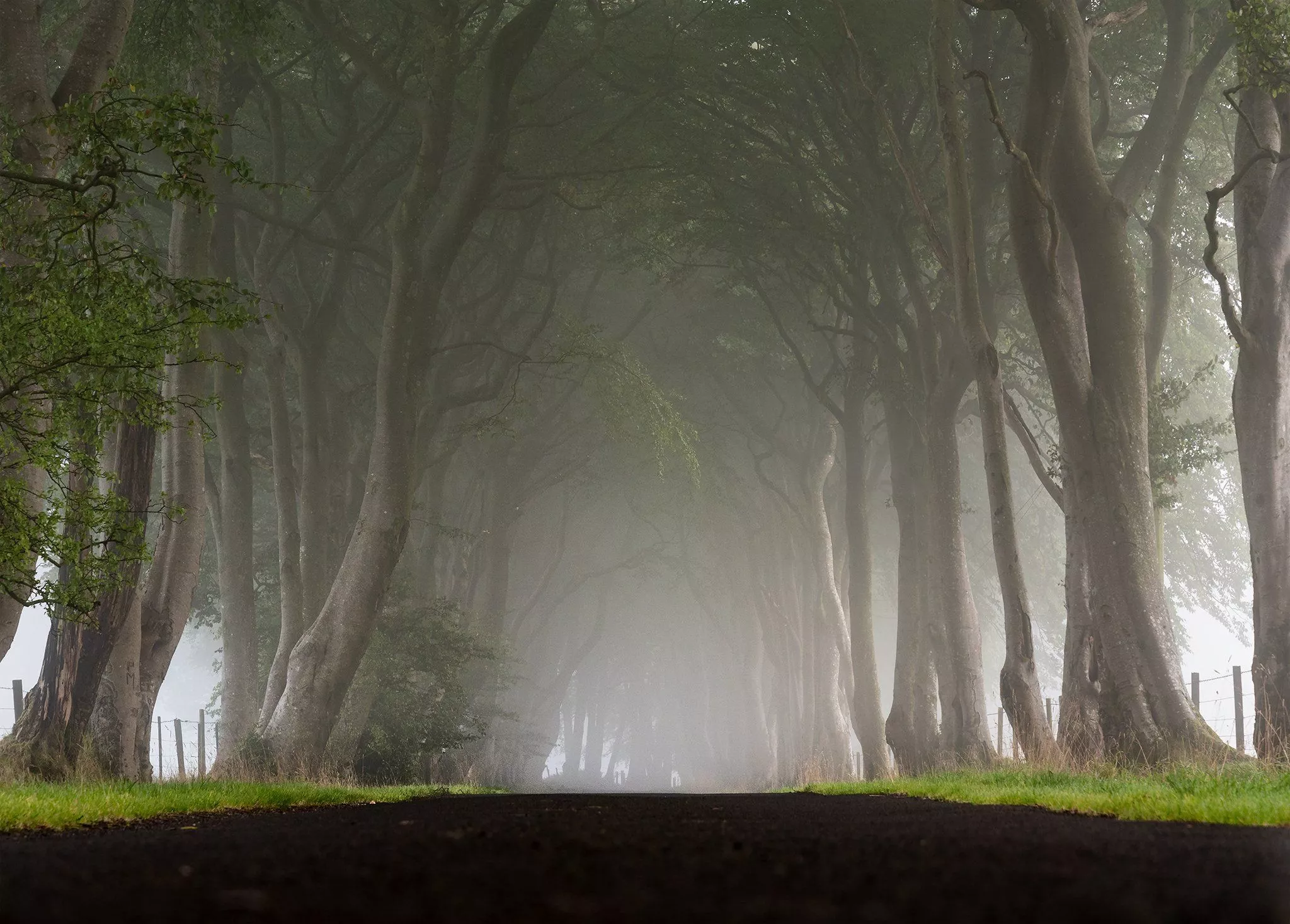 Colour Grading Wallpapers - Wallpaper Cave