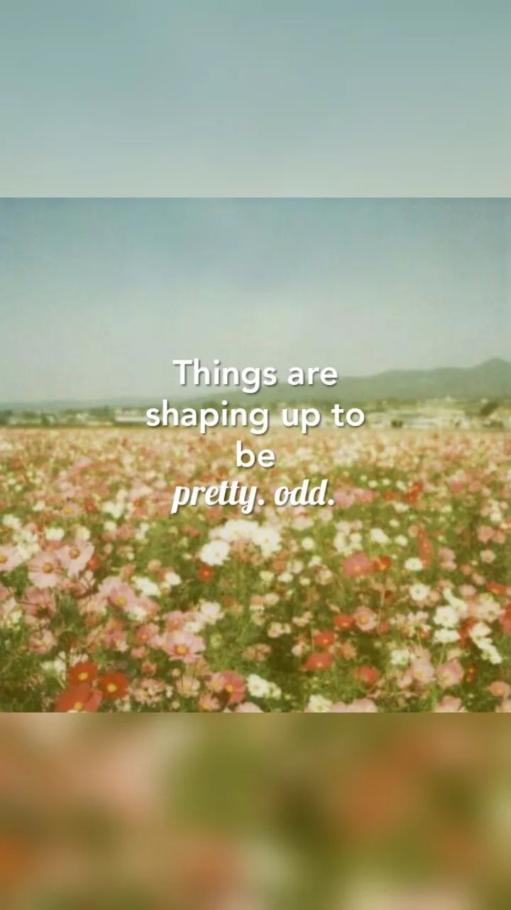 Pretty. Odd. Wallpapers - Wallpaper Cave