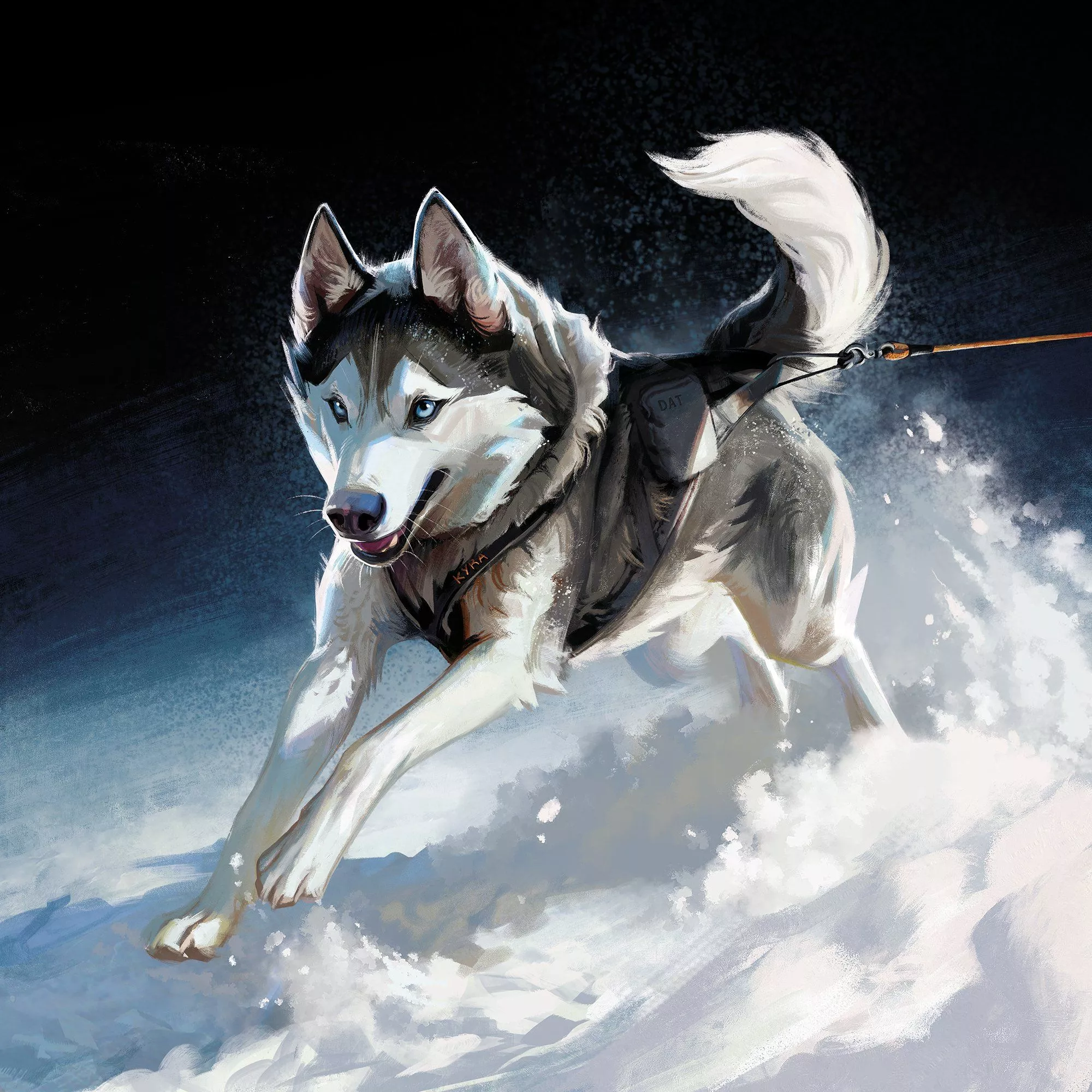 Anime Husky Wallpapers - Wallpaper Cave