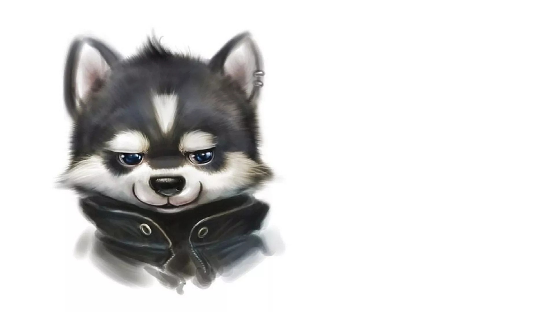 Anime Husky Wallpapers - Wallpaper Cave