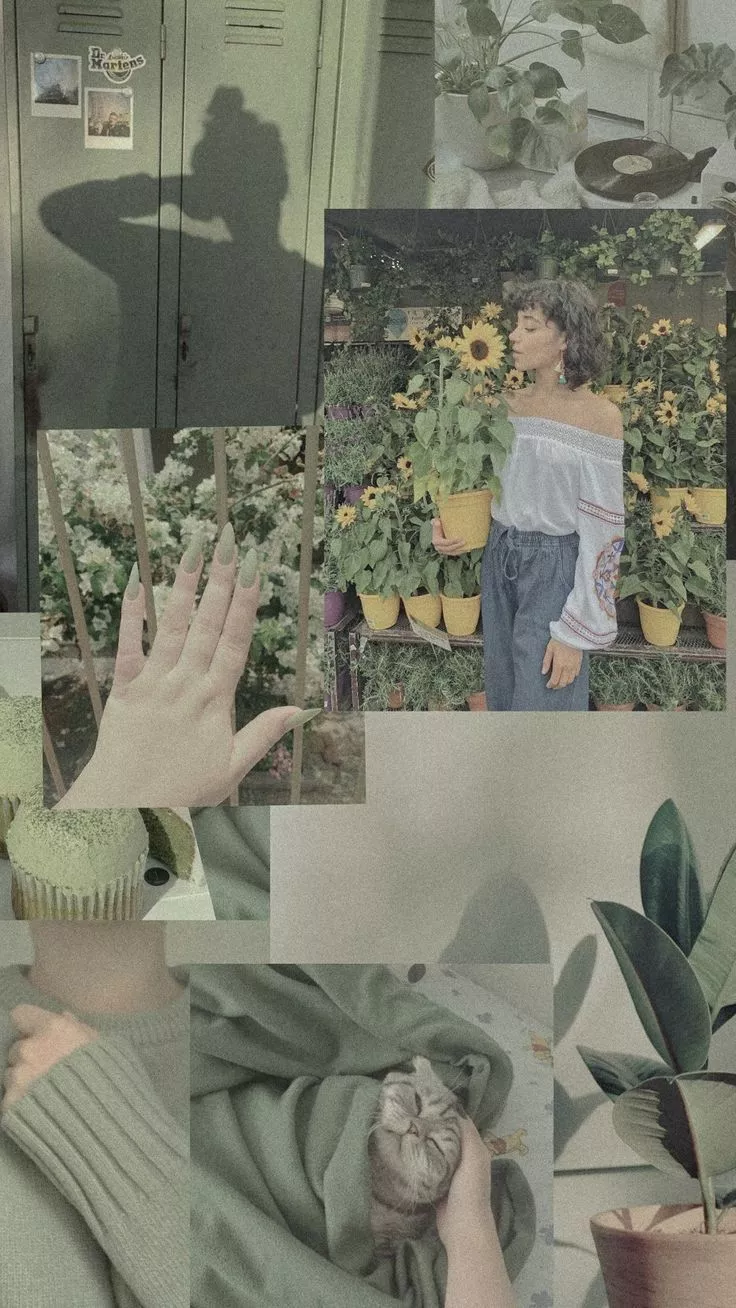 Taurus Collage Wallpapers - Wallpaper Cave