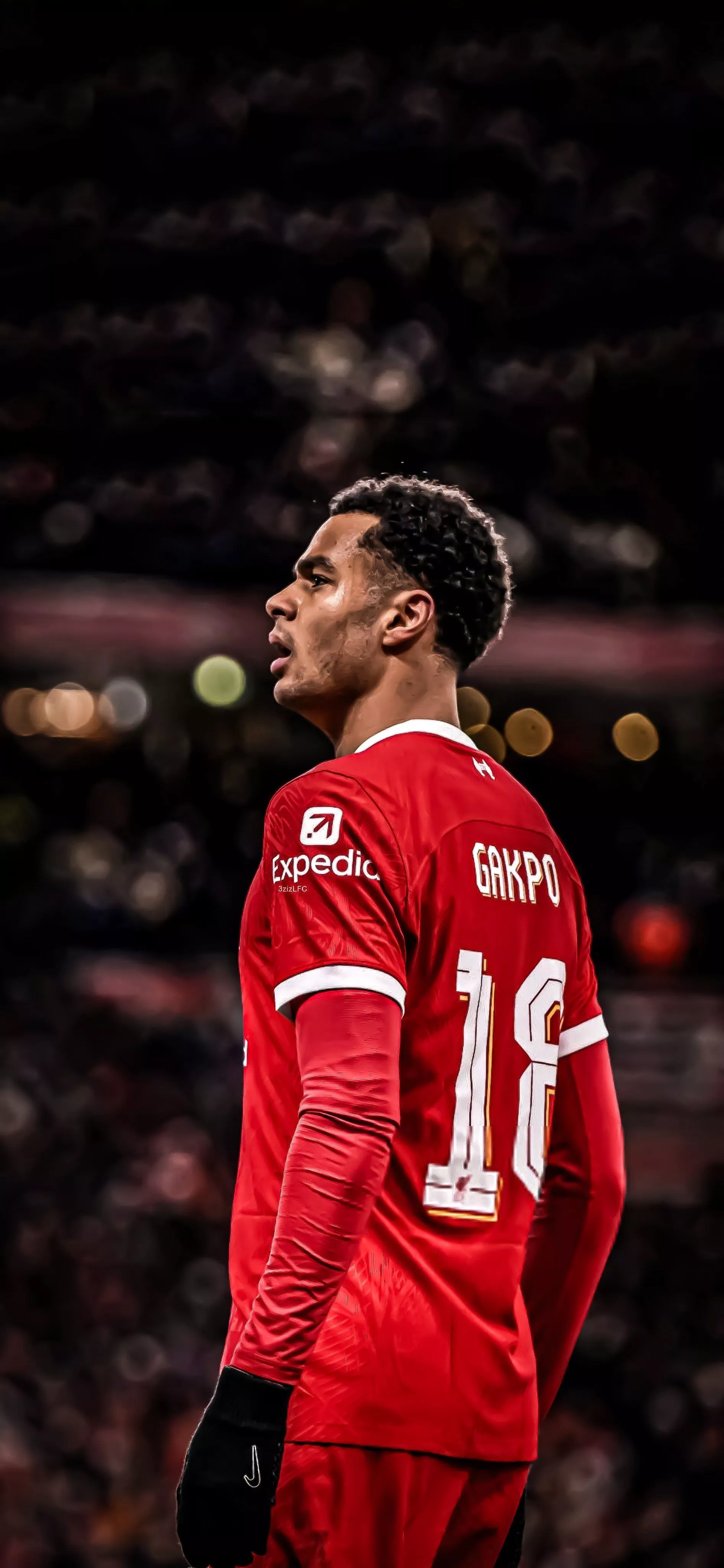 Cody Gakpo Liverpool Wallpapers - Wallpaper Cave