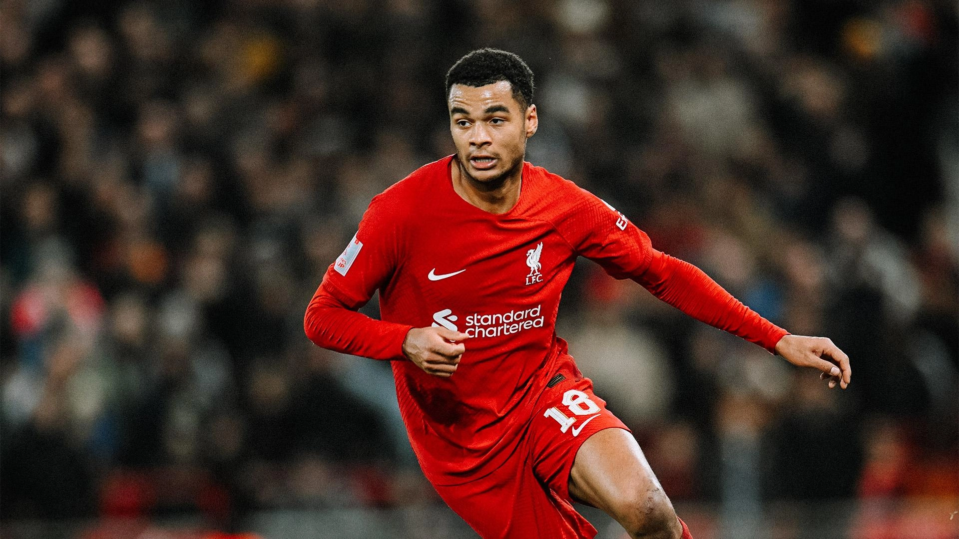 Cody Gakpo Liverpool Wallpapers - Wallpaper Cave