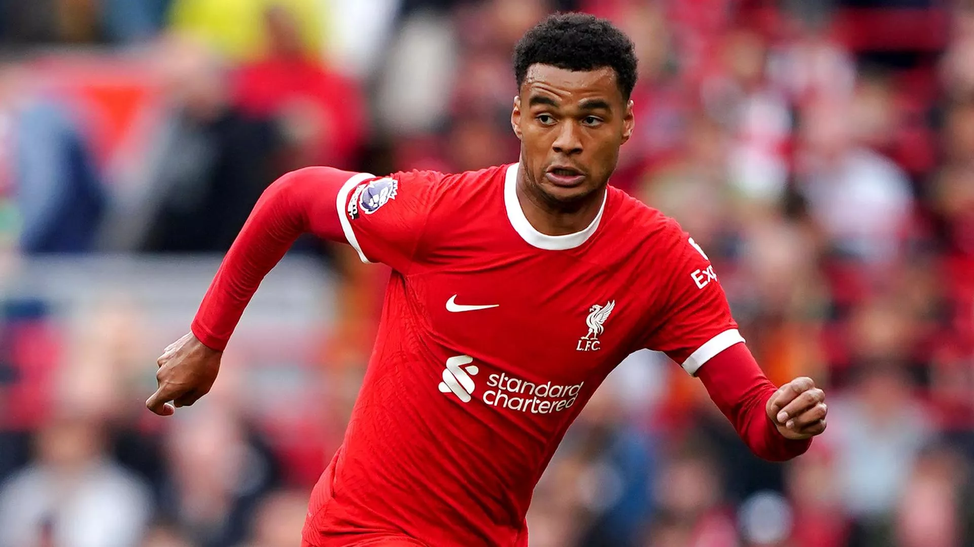 Cody Gakpo Liverpool Wallpapers - Wallpaper Cave