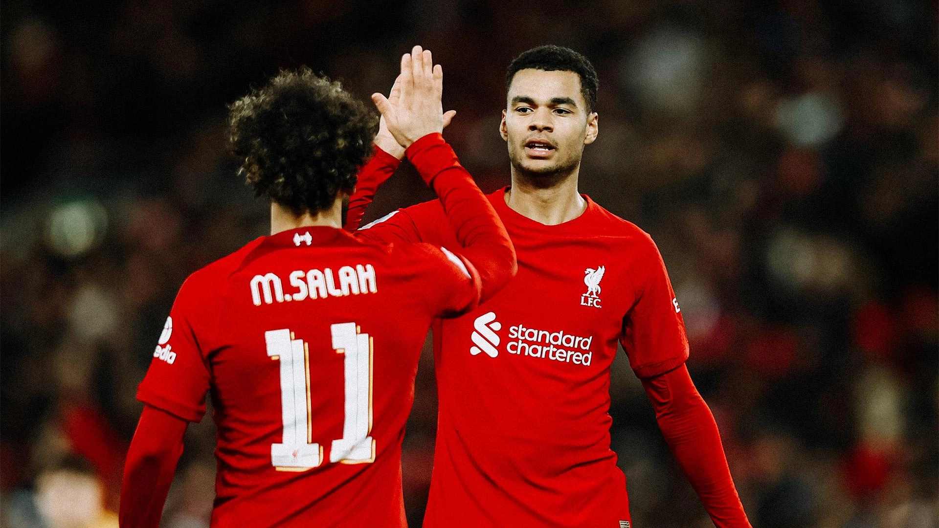 Cody Gakpo Liverpool Wallpapers - Wallpaper Cave