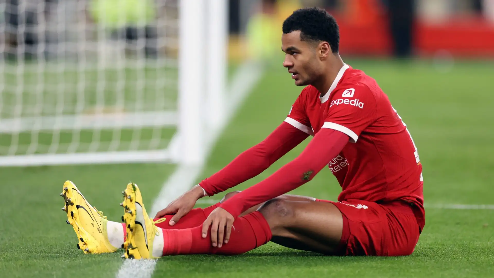 Cody Gakpo Liverpool Wallpapers - Wallpaper Cave