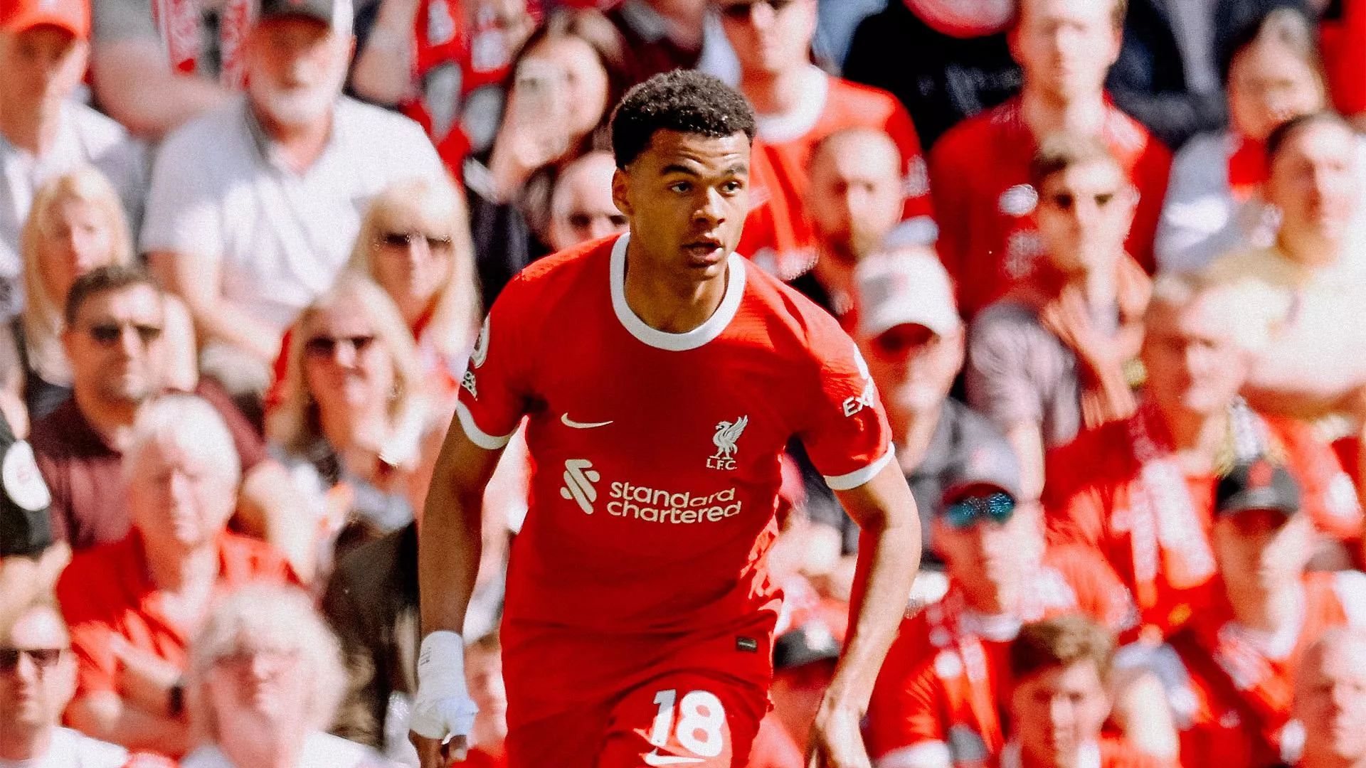 Cody Gakpo Liverpool Wallpapers - Wallpaper Cave