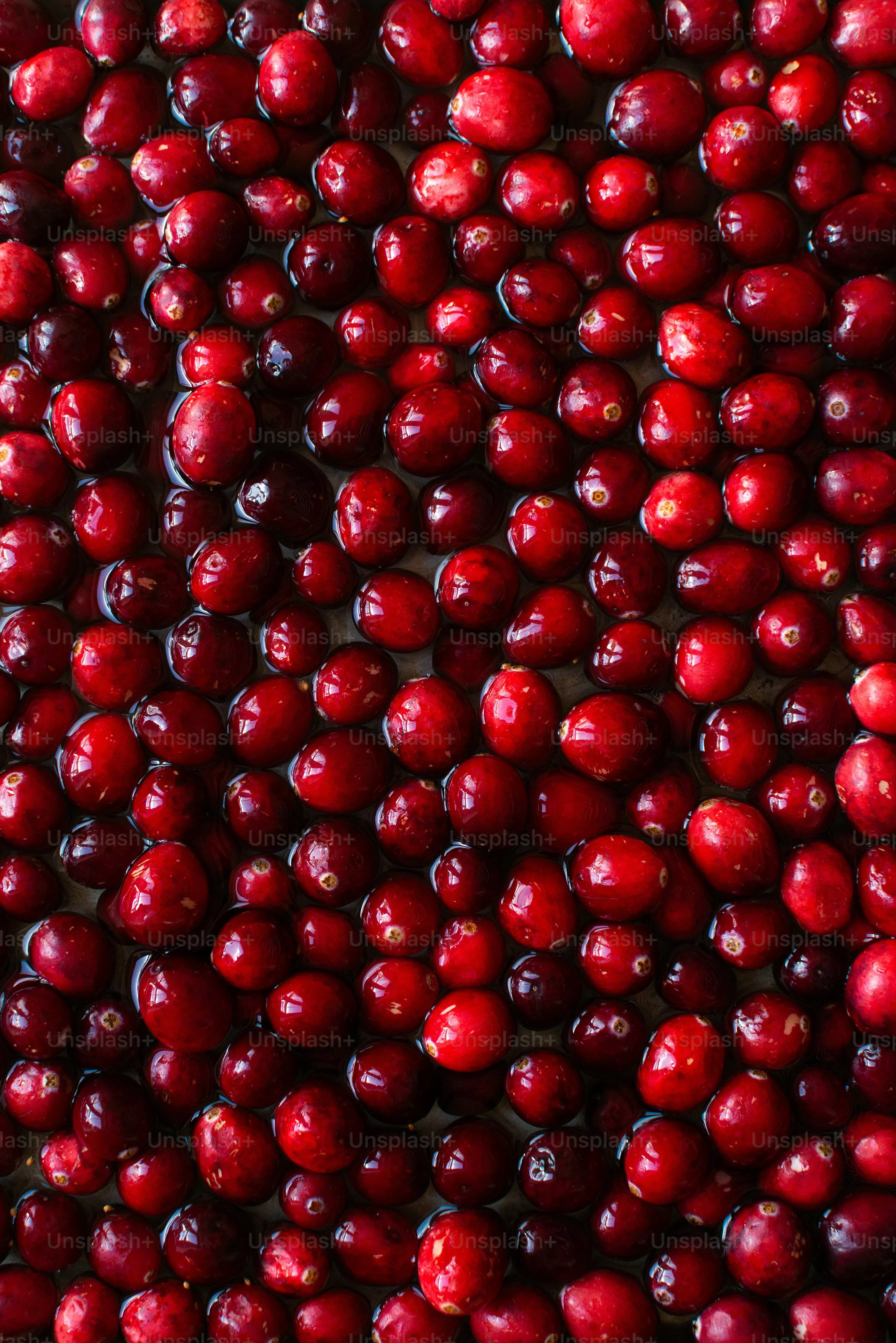 Cranberries Wallpapers - Wallpaper Cave