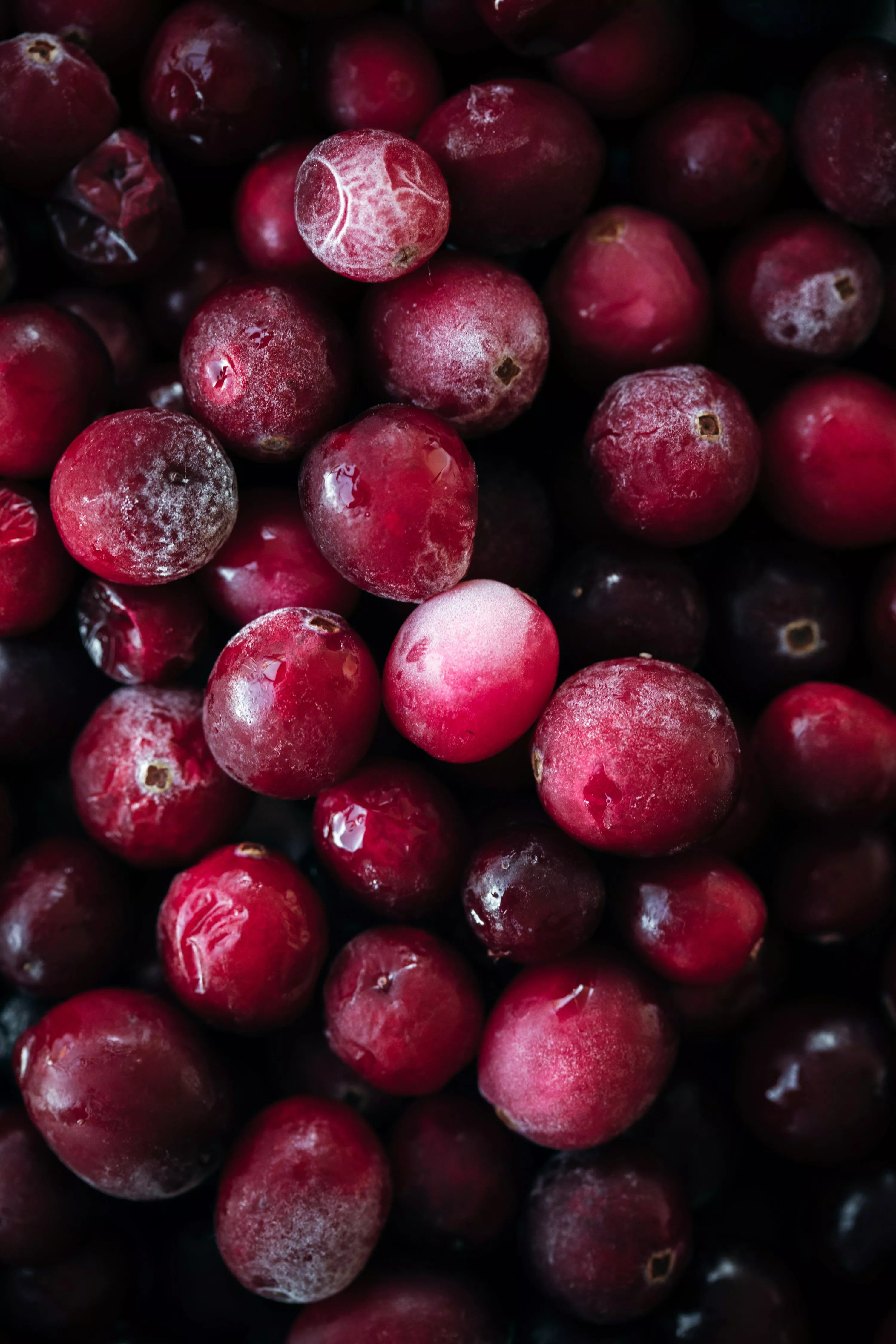 Cranberries Wallpapers - Wallpaper Cave