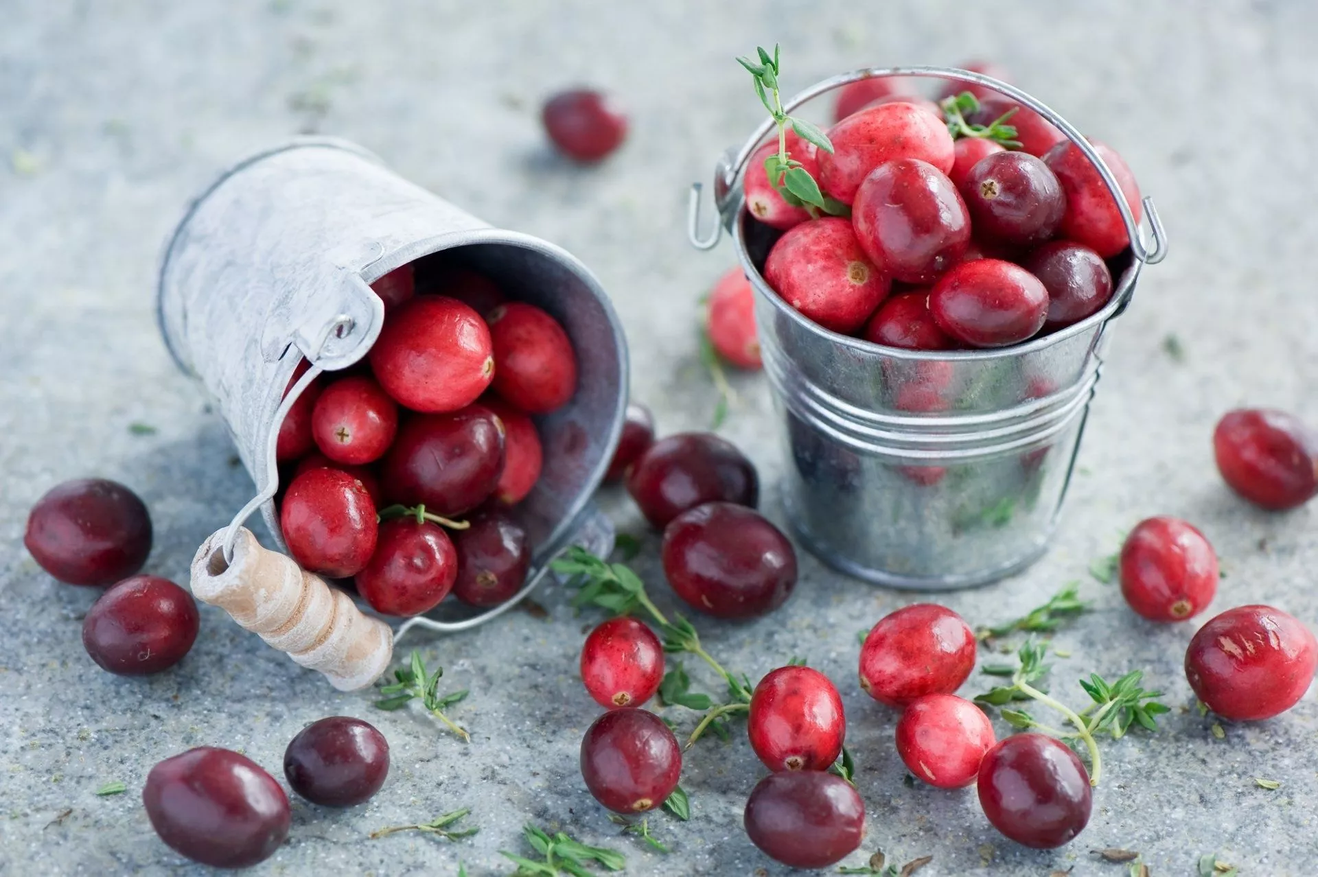 Cranberries Wallpapers - Wallpaper Cave