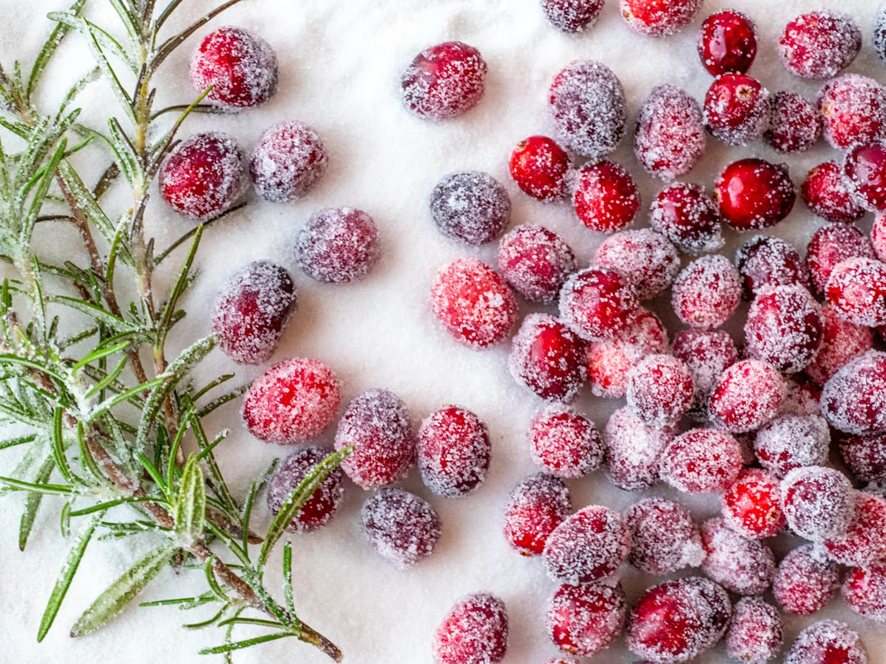 Cranberries Wallpapers - Wallpaper Cave
