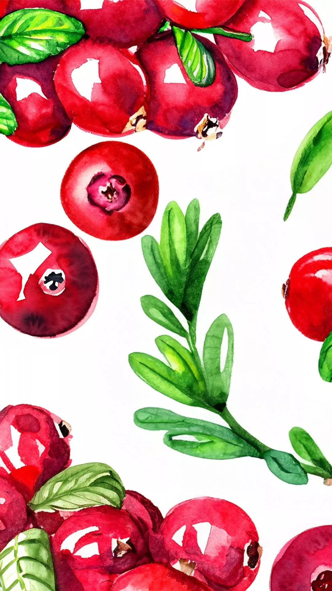 Cranberries Wallpapers - Wallpaper Cave