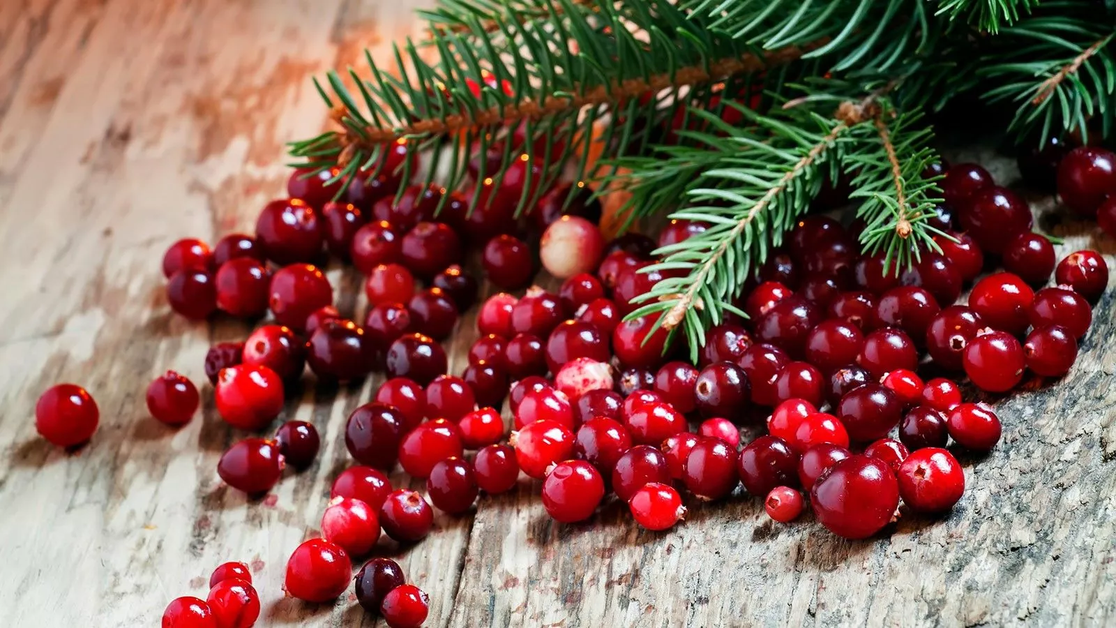 Cranberries Wallpapers - Wallpaper Cave