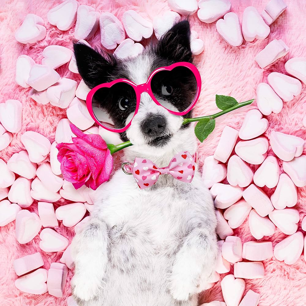 Cute Dogs Valentines Wallpapers - Wallpaper Cave