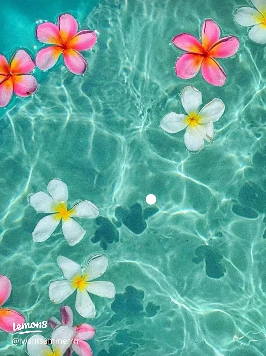 Flower Preppy Wallpapers - Wallpaper Cave