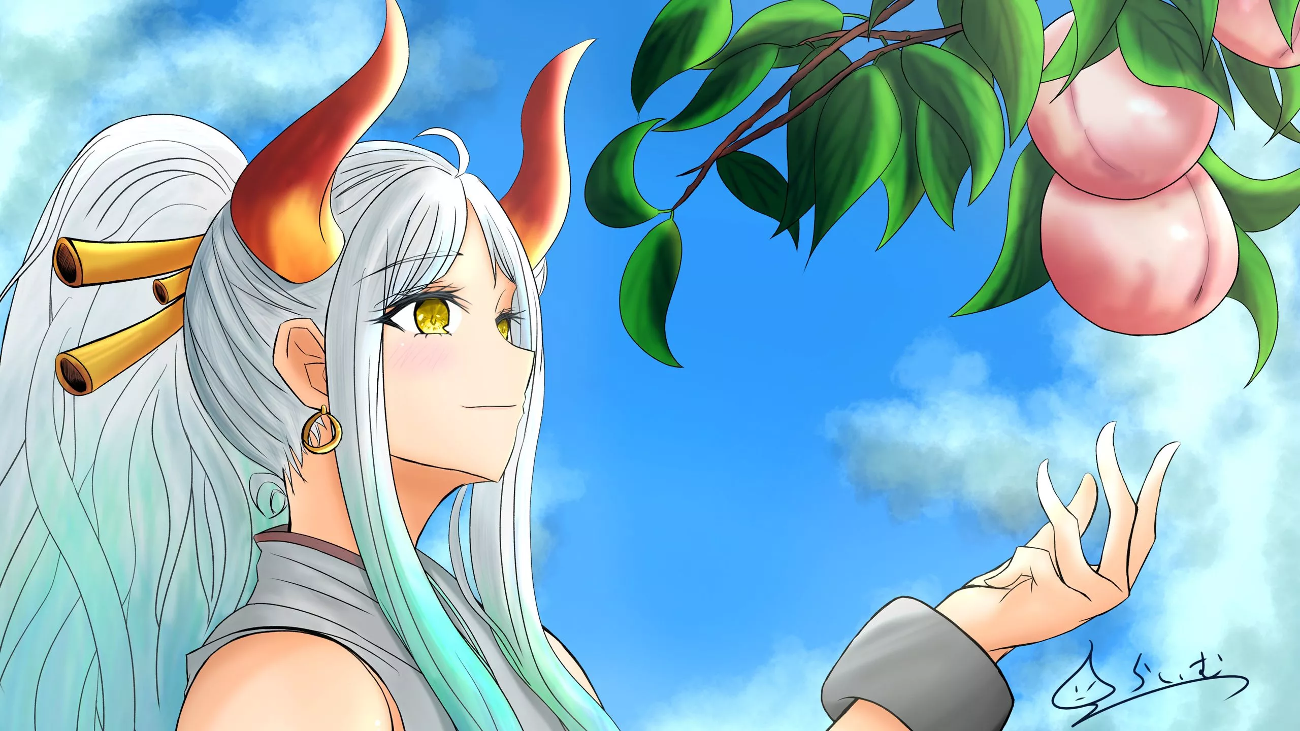 One Piece Women Wallpapers - Wallpaper Cave