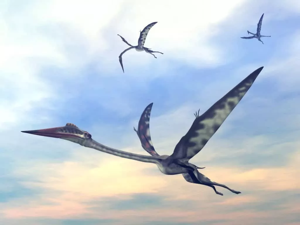 Flying Dinosaur Wallpapers - Wallpaper Cave