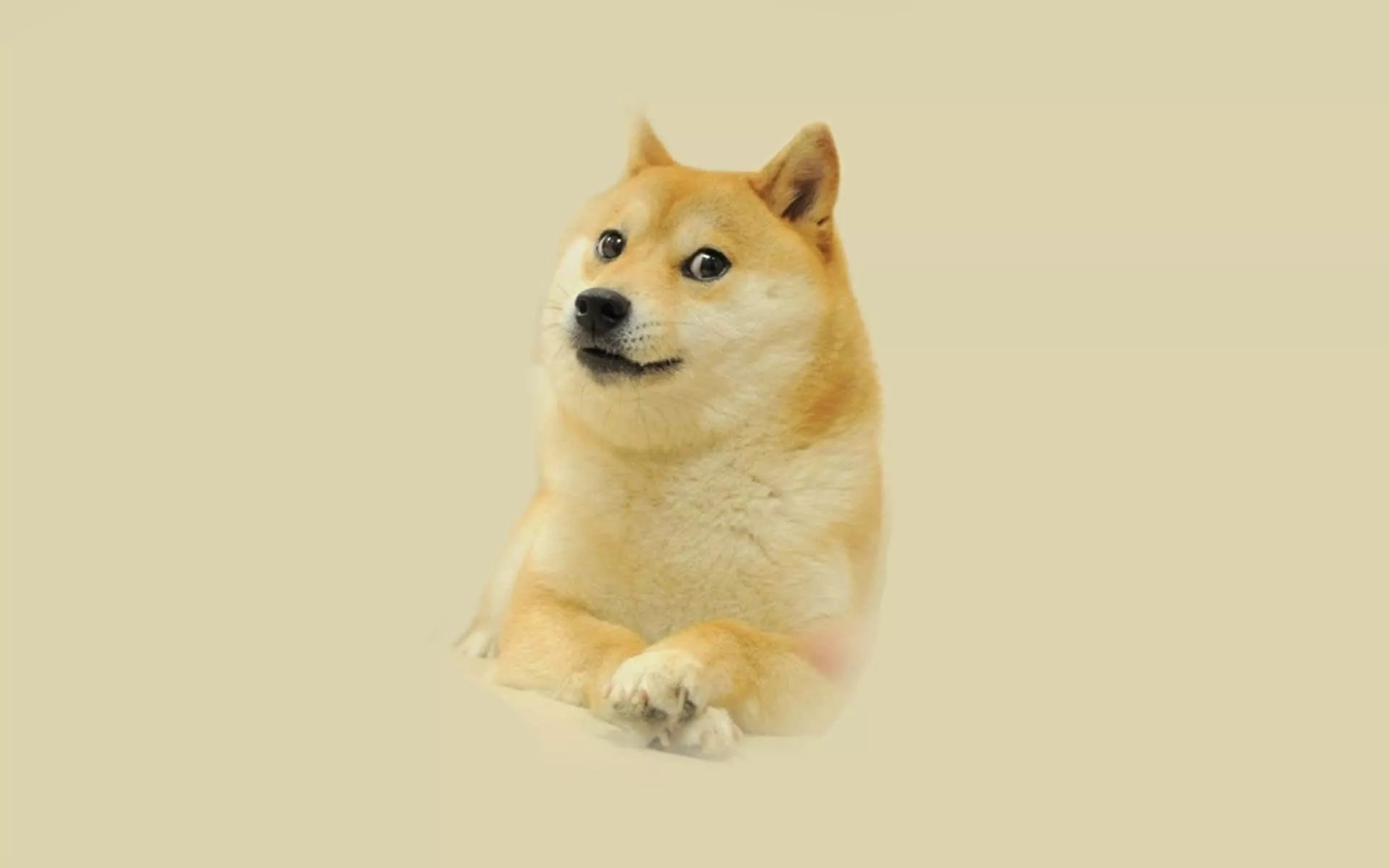 Cheems PC Wallpapers - Wallpaper Cave