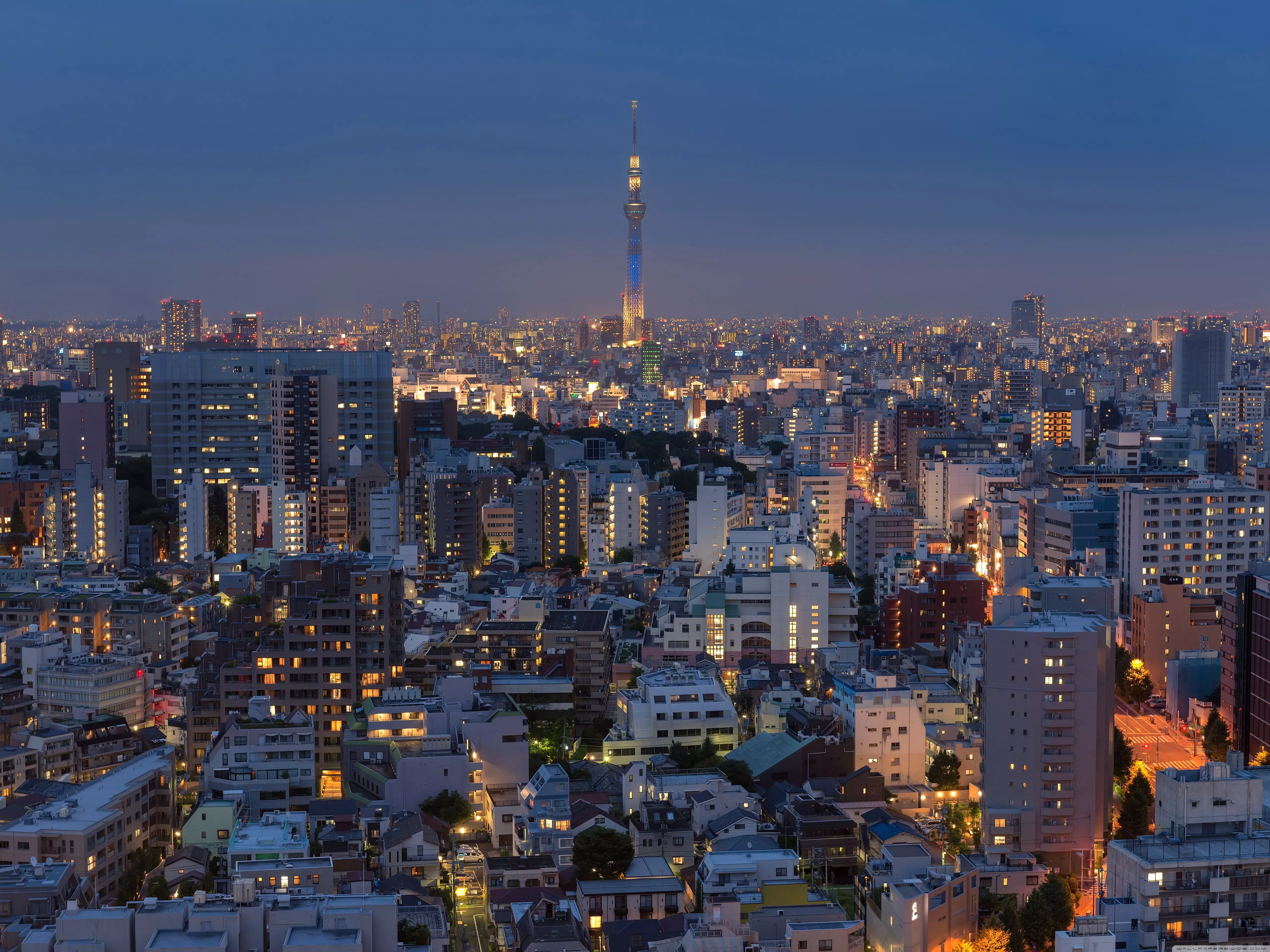 Tokyo 8k Wallpapers - Wallpaper Cave