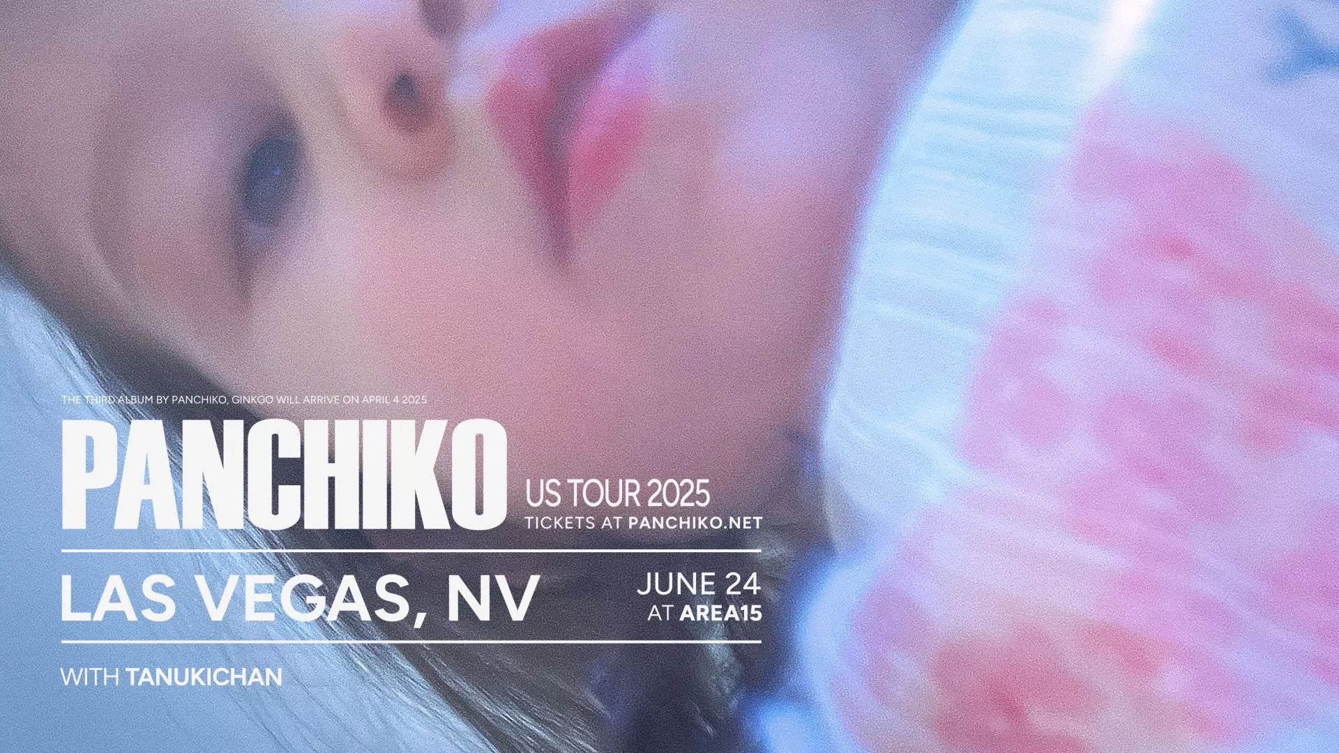 Panchiko Wallpapers - Wallpaper Cave