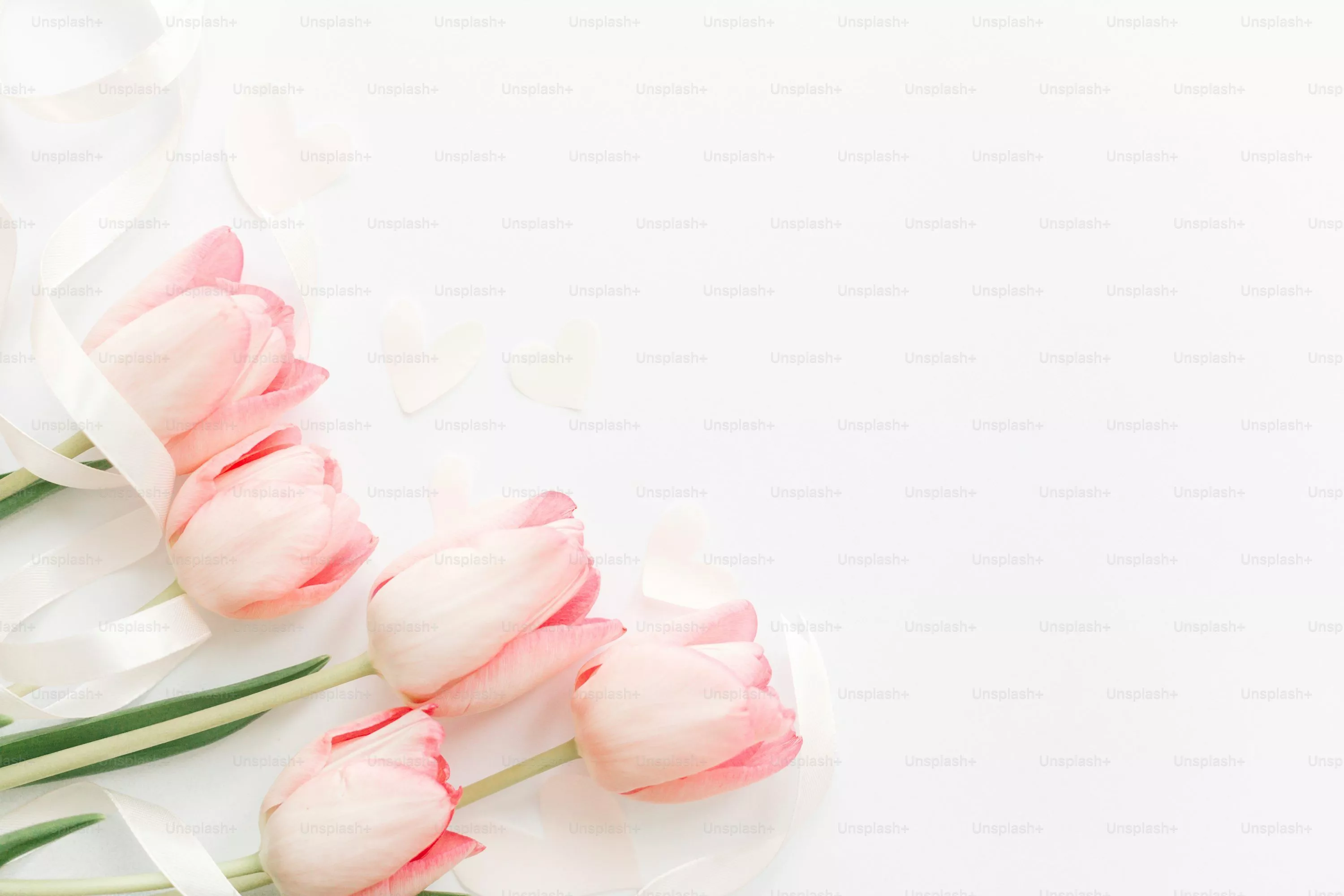 Tulip Laptop Wallpapers - Wallpaper Cave