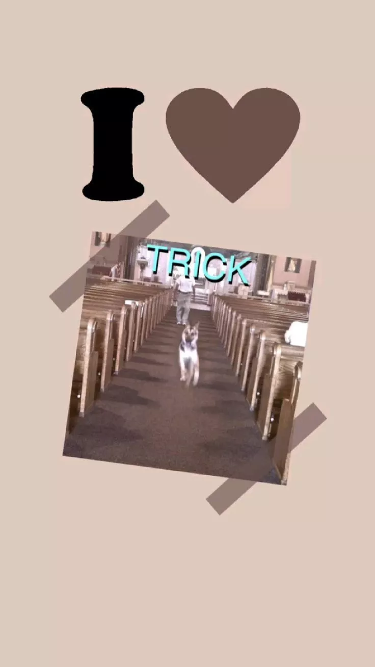 Trick Alex G Wallpapers - Wallpaper Cave