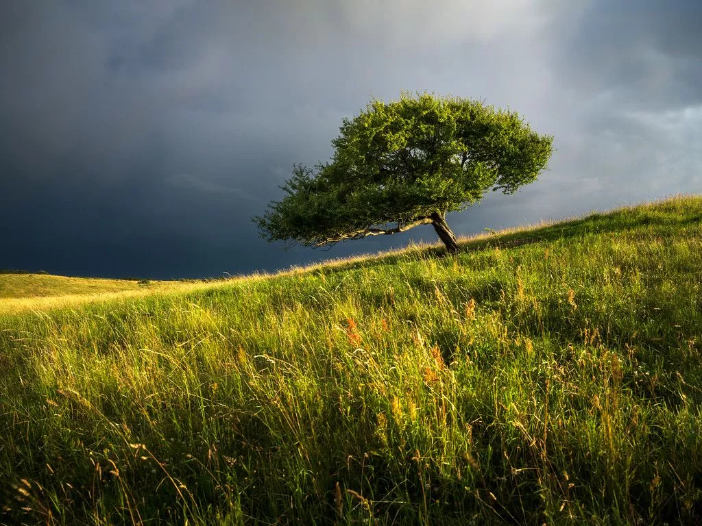 Denmark Spring Wallpapers - Wallpaper Cave