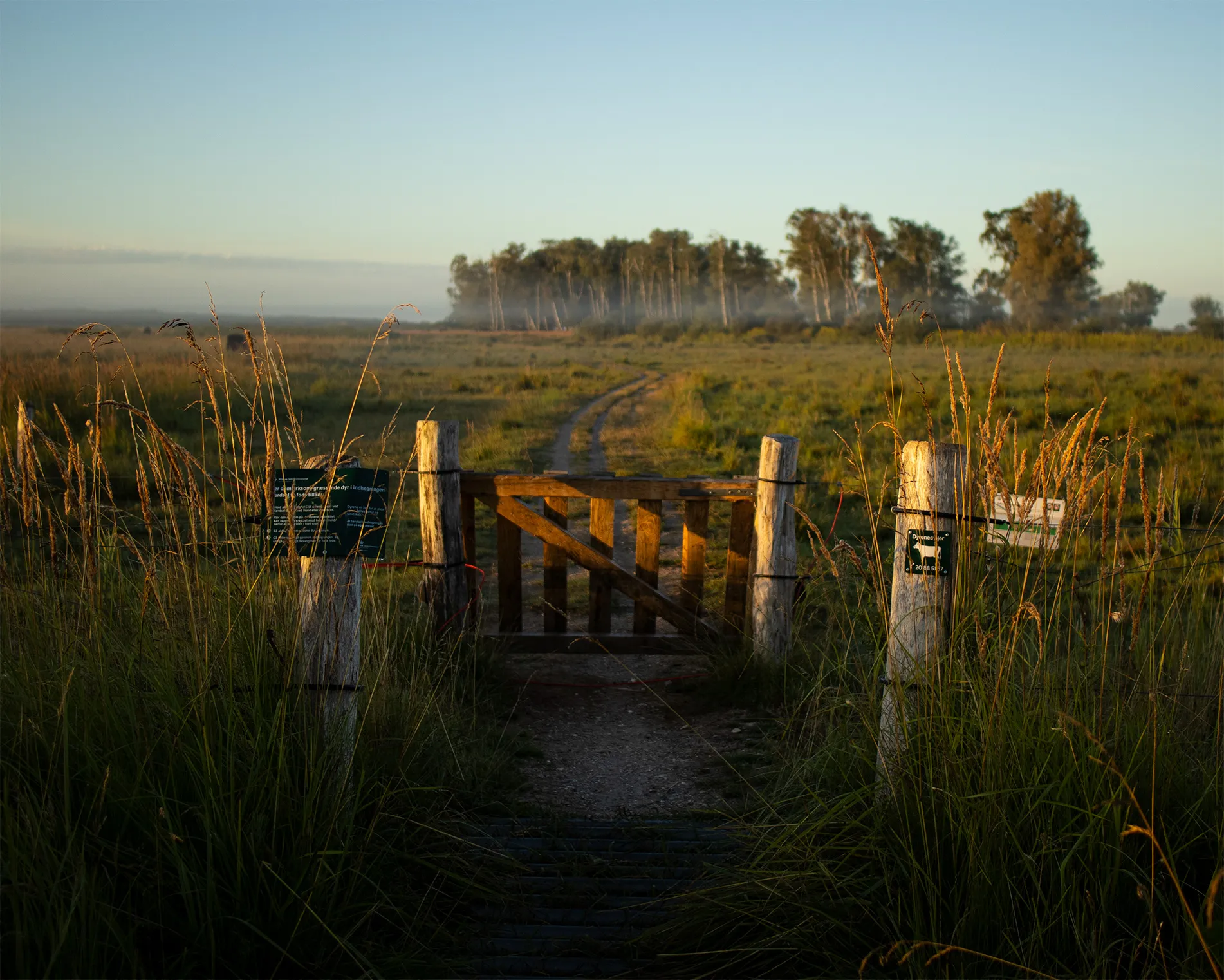 Denmark Spring Wallpapers - Wallpaper Cave