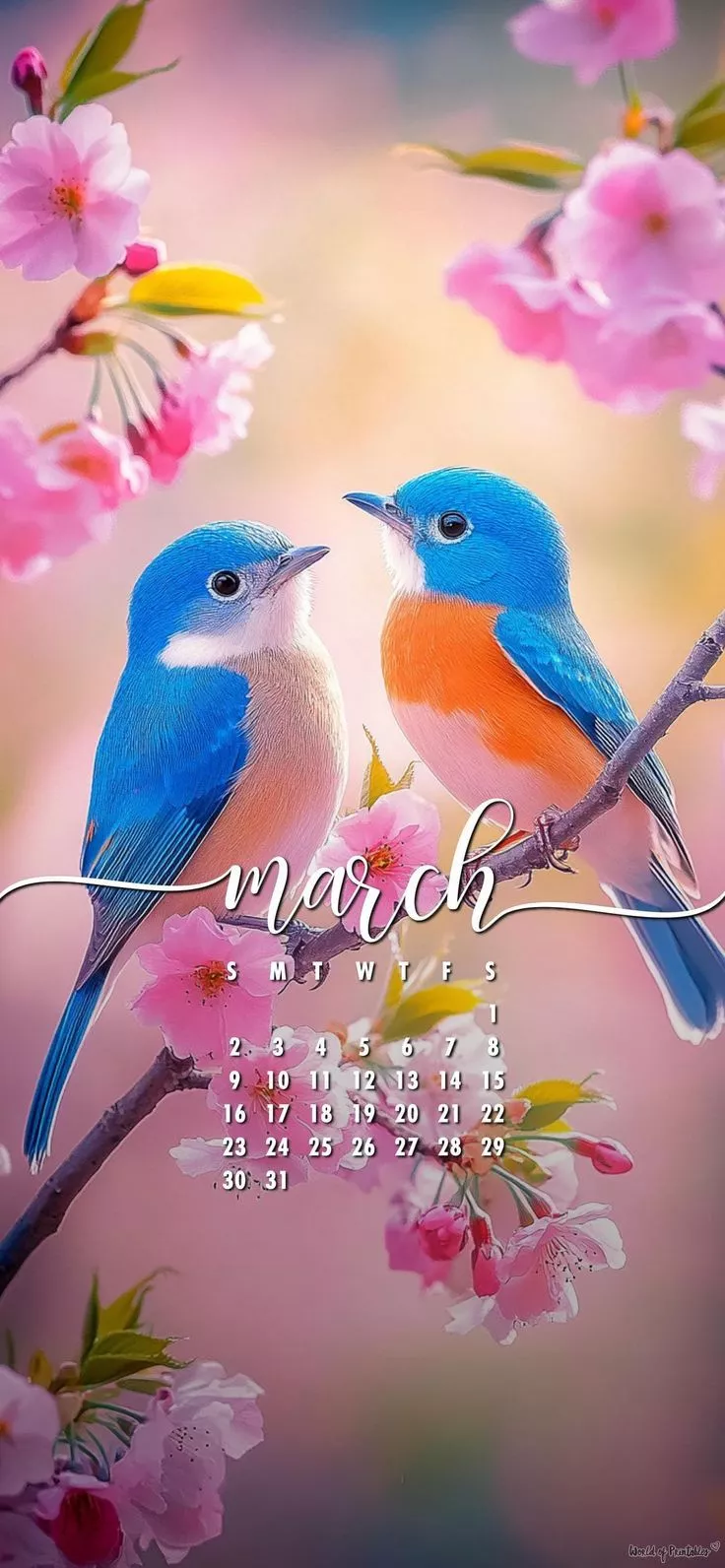 Spring 2025 Wallpapers - Wallpaper Cave