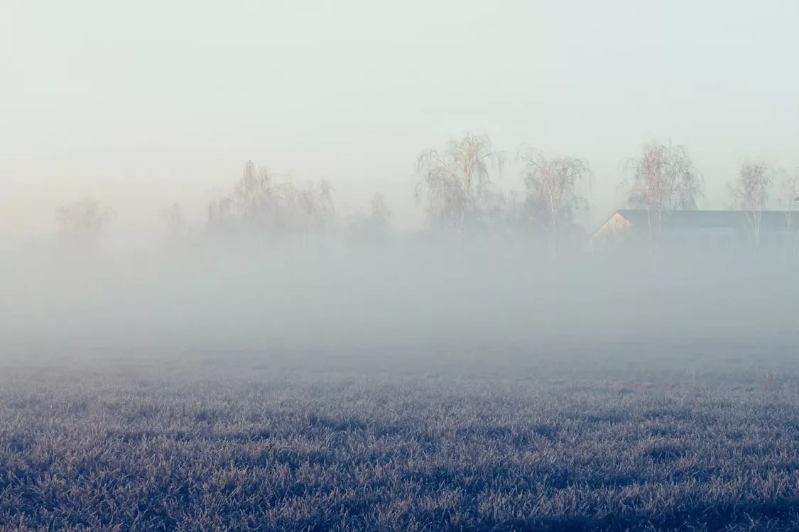 Foggy Winter Morning Wallpapers - Wallpaper Cave