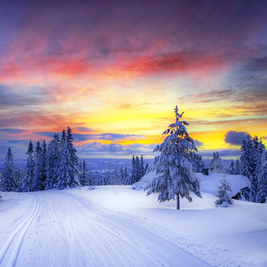 Cute Winter PFP Wallpapers - Wallpaper Cave