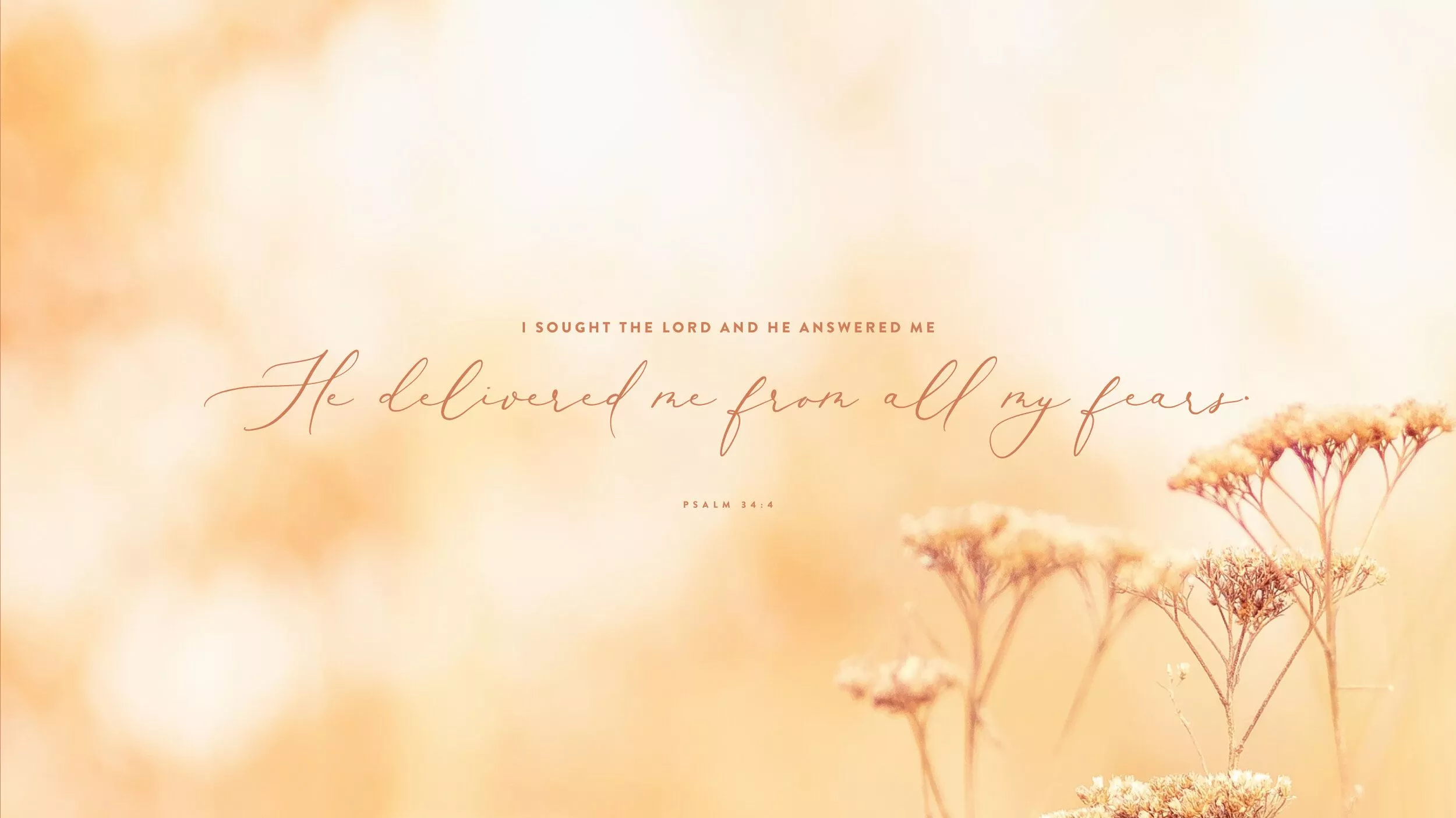 Desktop Bible Scripture Wallpapers - Wallpaper Cave