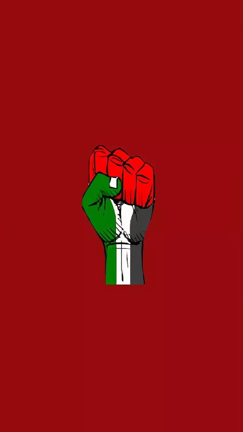 Palestine Phone Wallpapers - Wallpaper Cave