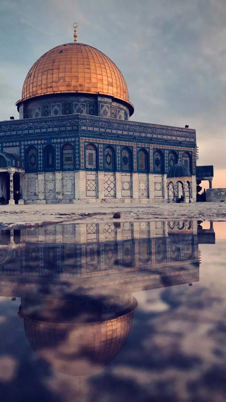 Palestine Phone Wallpapers - Wallpaper Cave
