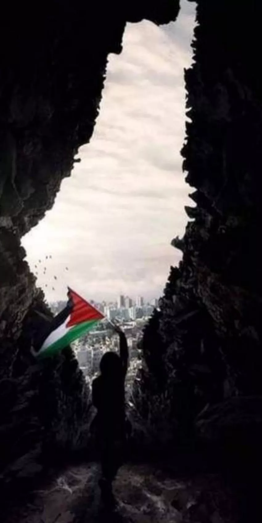 Palestine Phone Wallpapers - Wallpaper Cave