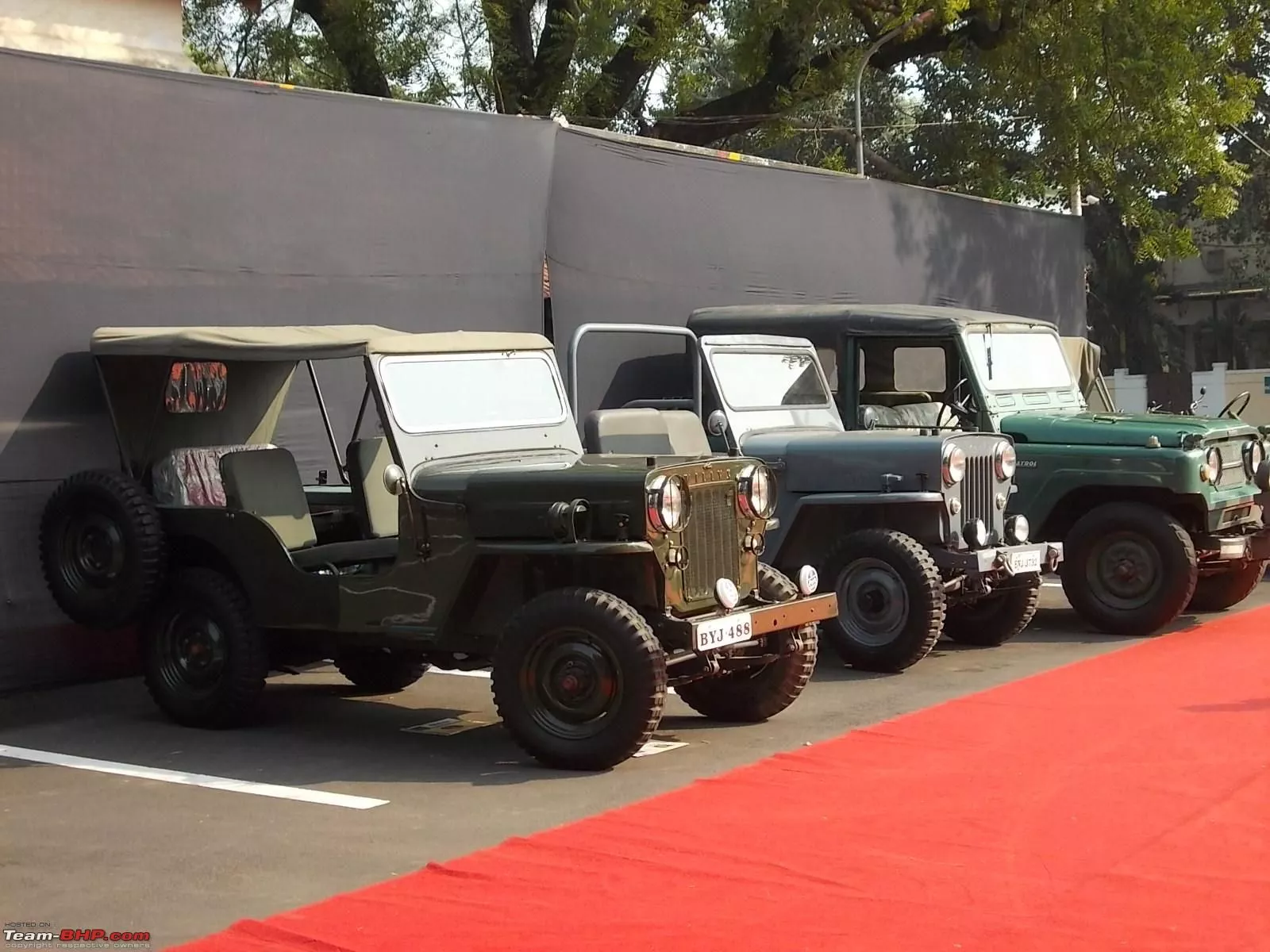 Jonga Wallpapers - Wallpaper Cave