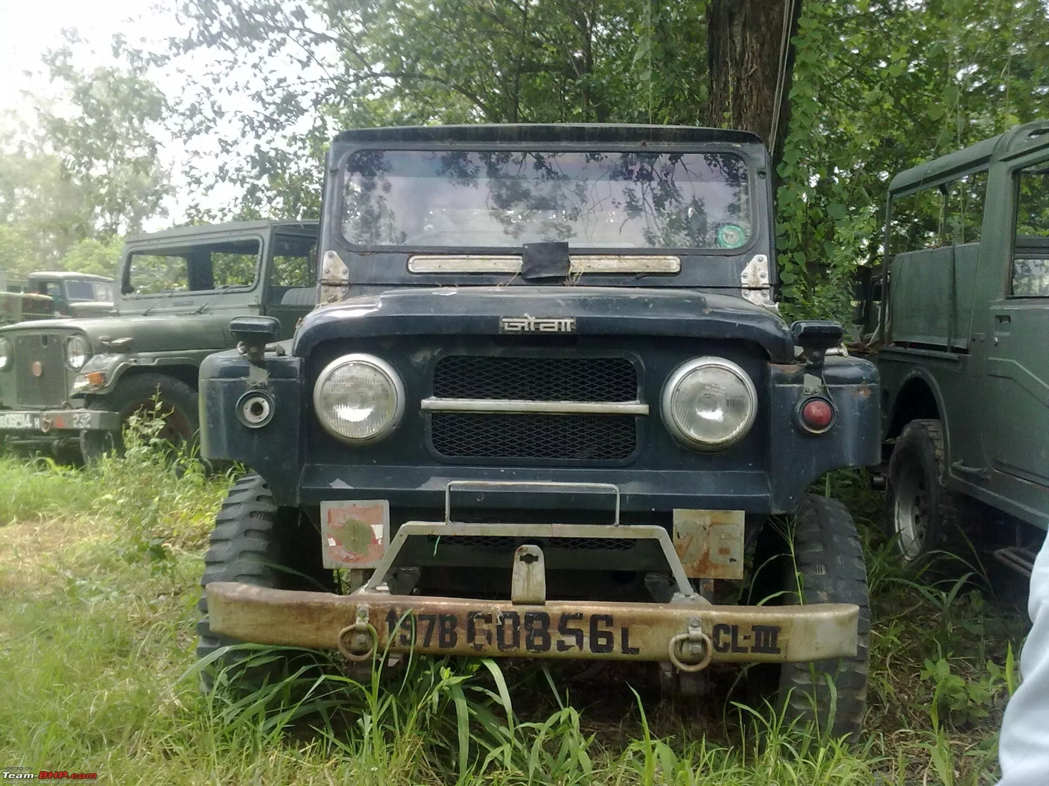 Jonga Wallpapers - Wallpaper Cave